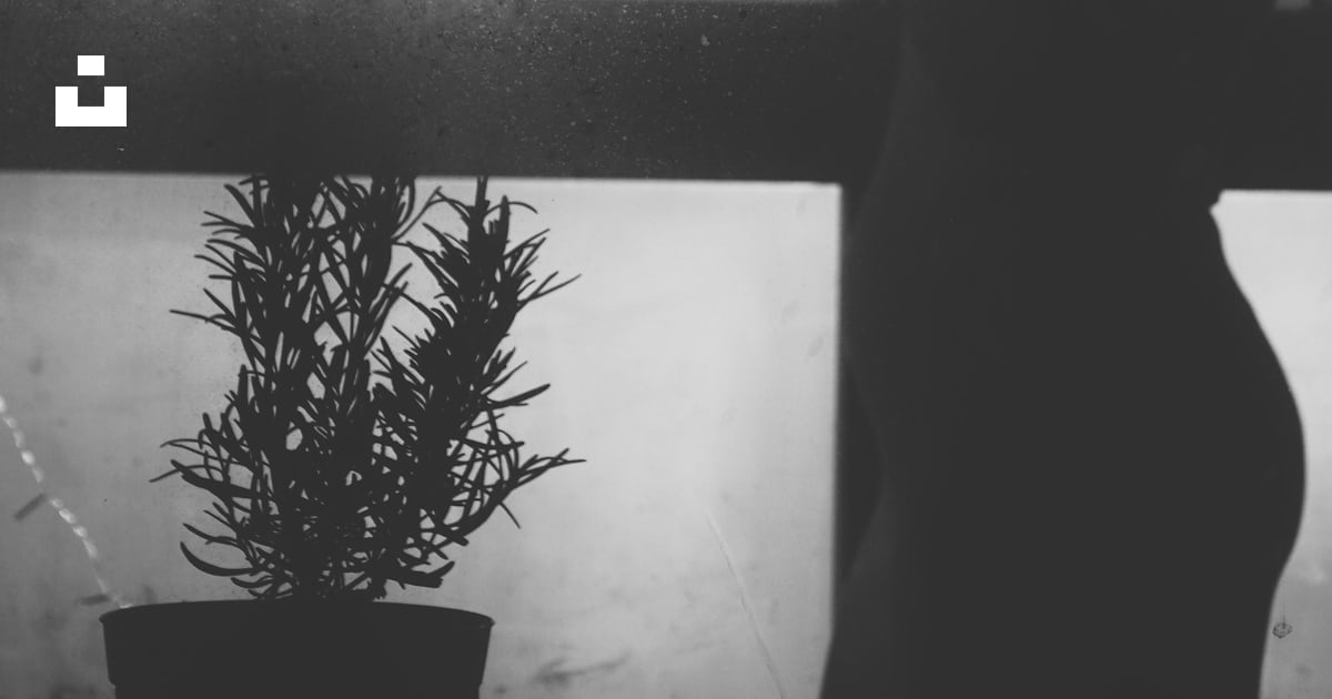 Foto Silueta De La Persona De Pie Cerca De La Ventana Imagen Estonia