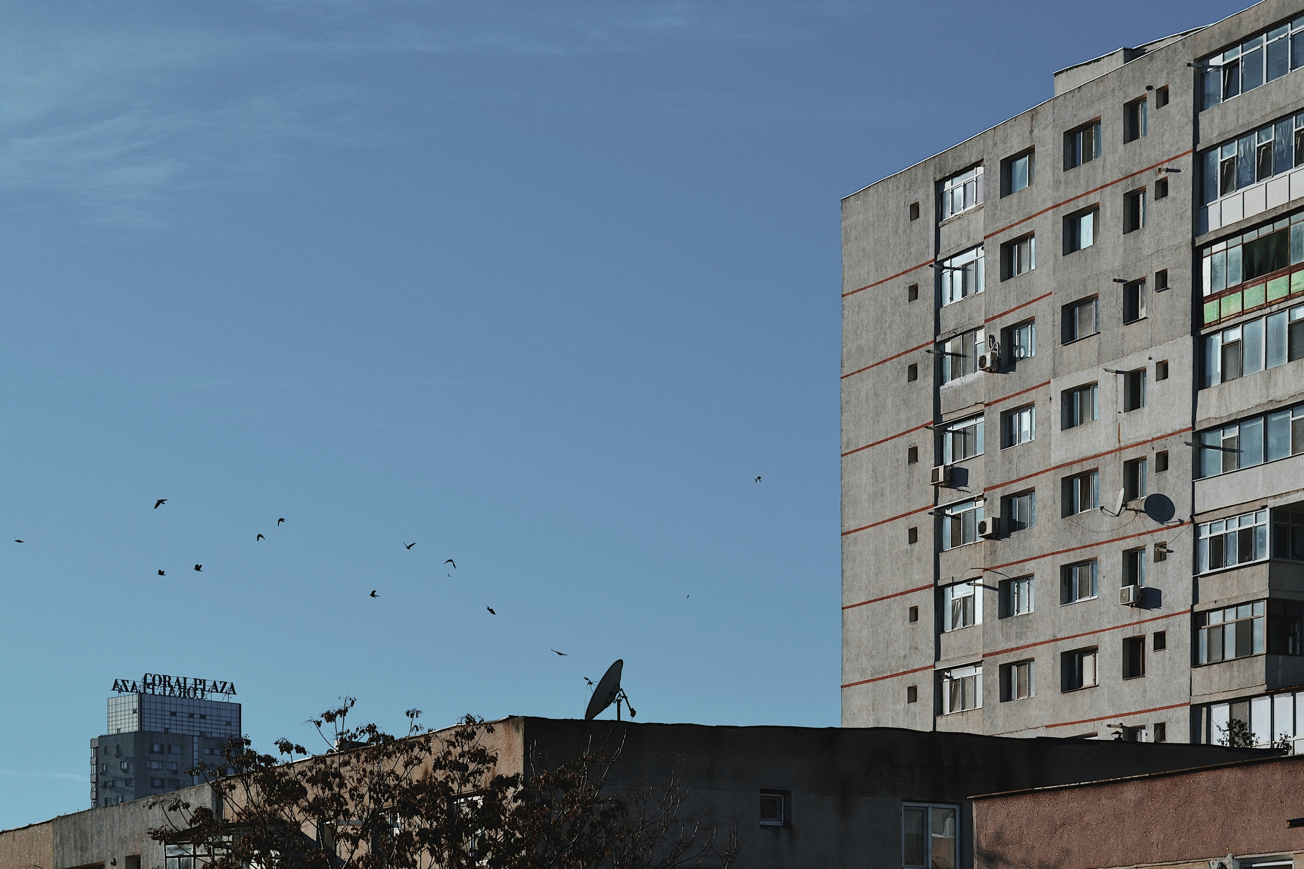 A modern residential building juxtaposed against a clear blue sky, with a satellite dish perched on the roof and birds in flight, illustrating urban life.