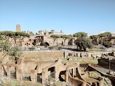 Arcades in the Sun: Echoes of an Ancient City