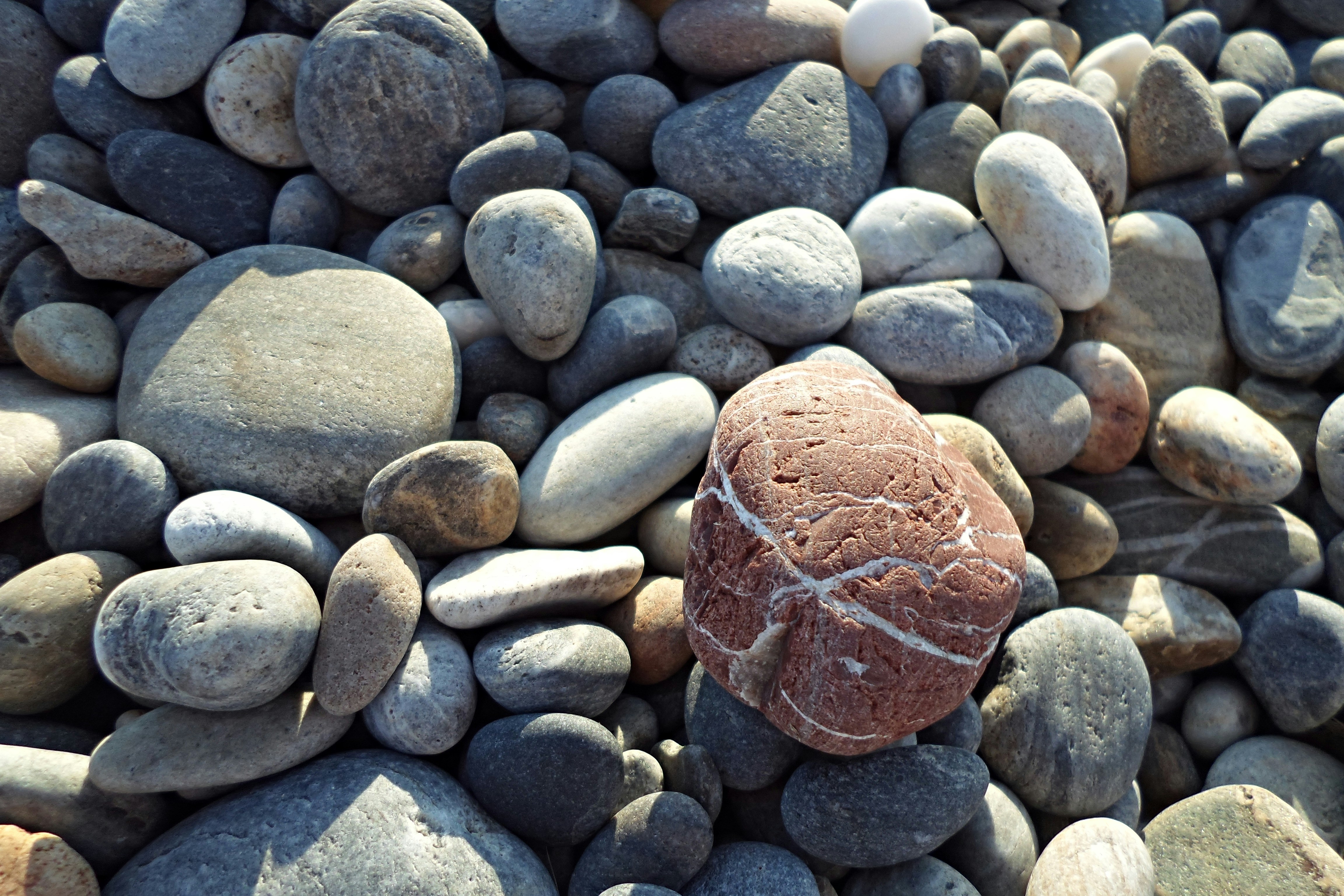 Red-banded Pebble Among Quiet Beach Stones