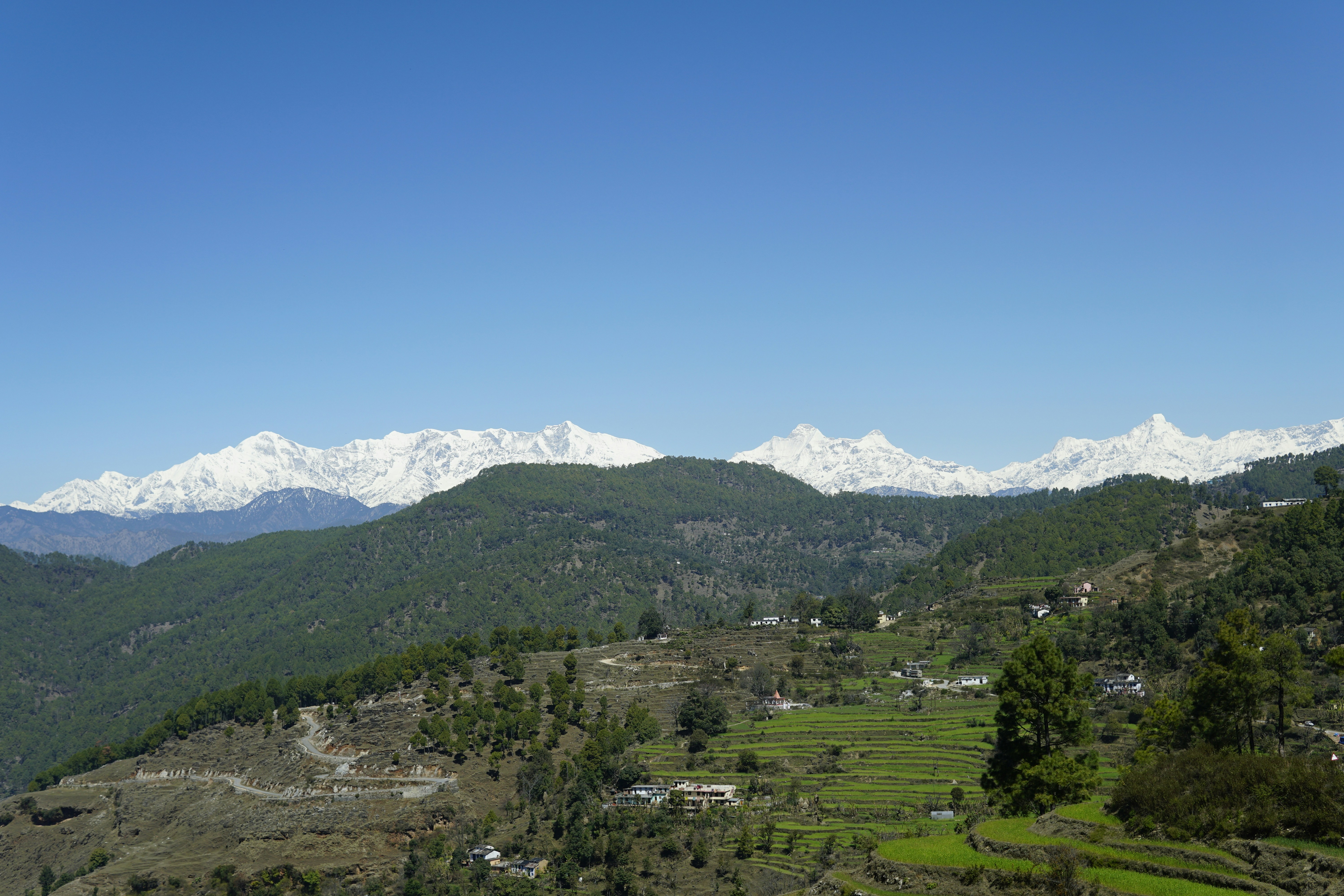 Whispers of the Himalayas: A Serene Landscape