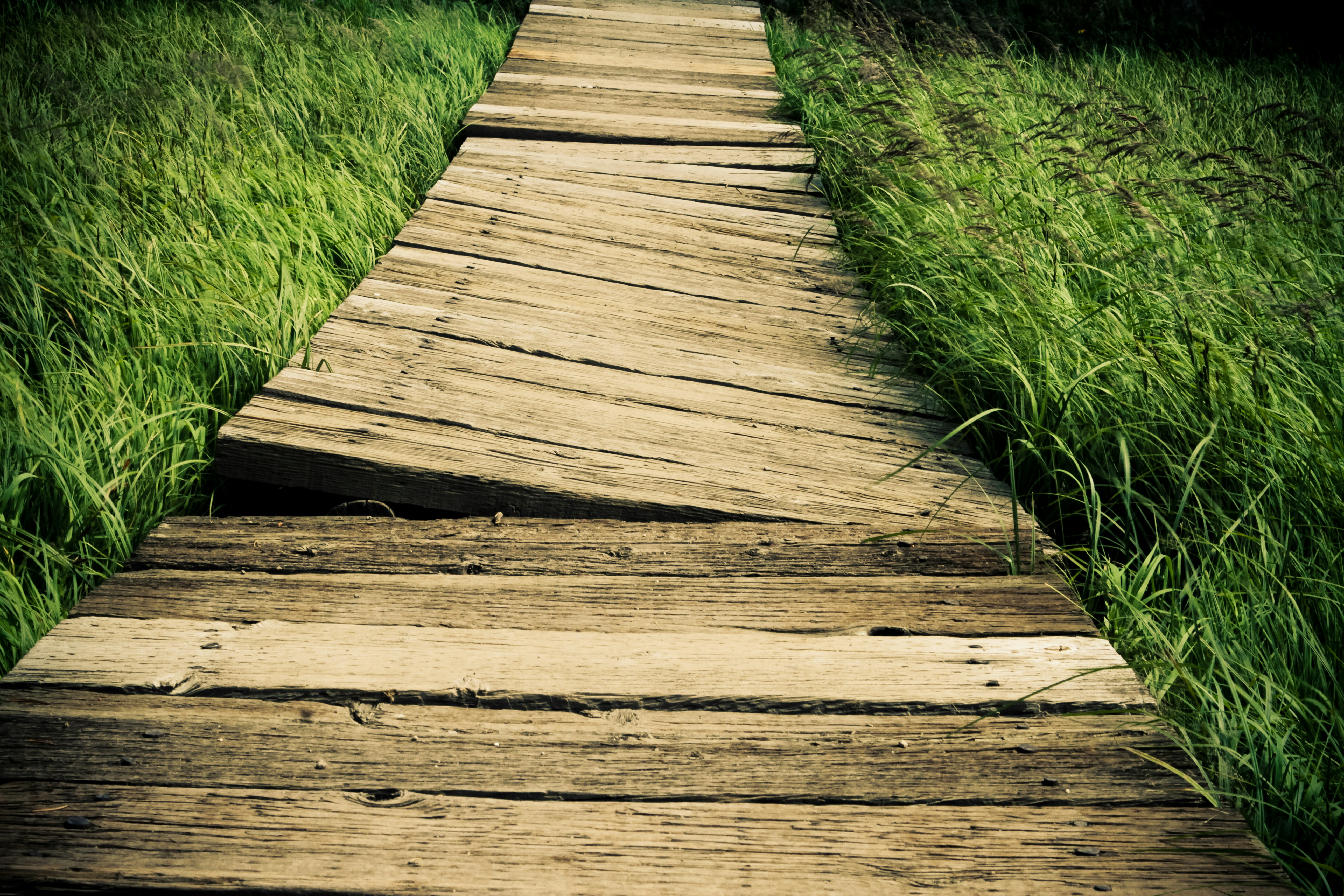 Brown wooden pathway between green grass field during daytime photo ...