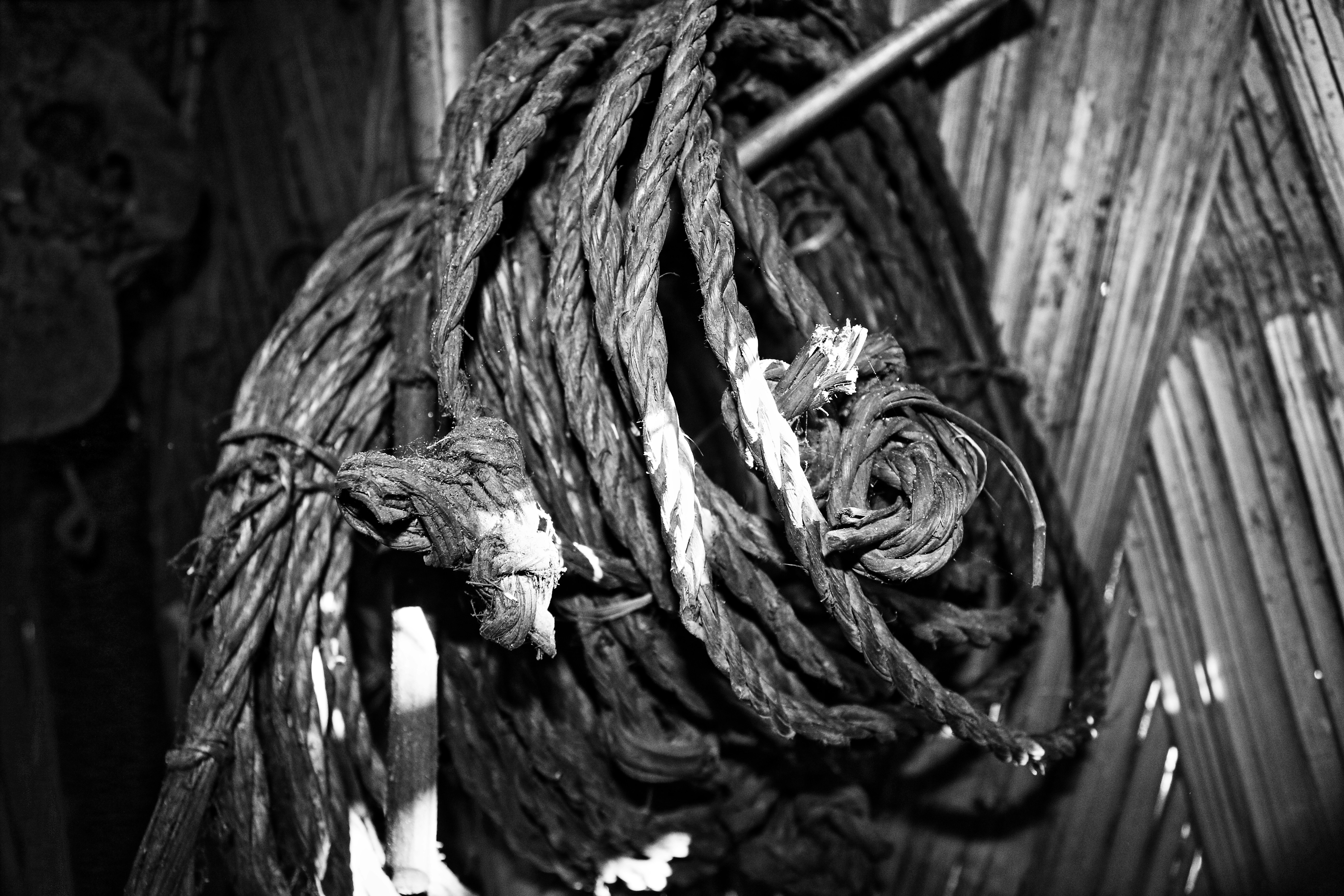 Grayscale photo of rope tied on wooden fence photo – Free Rope Image on ...