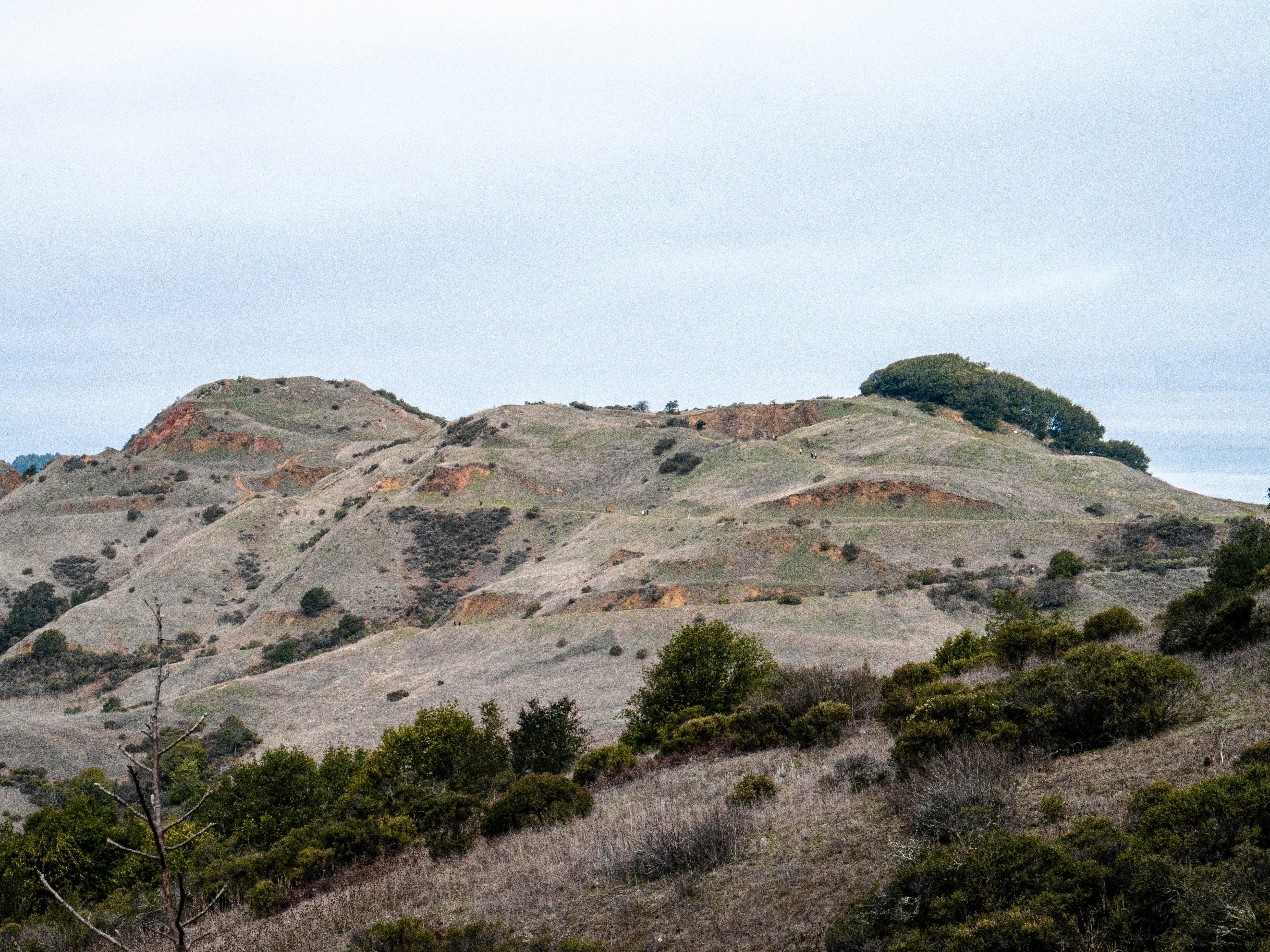 Verity - Boy Kidnapped Aged 6 Found Living in California 73 Years Later