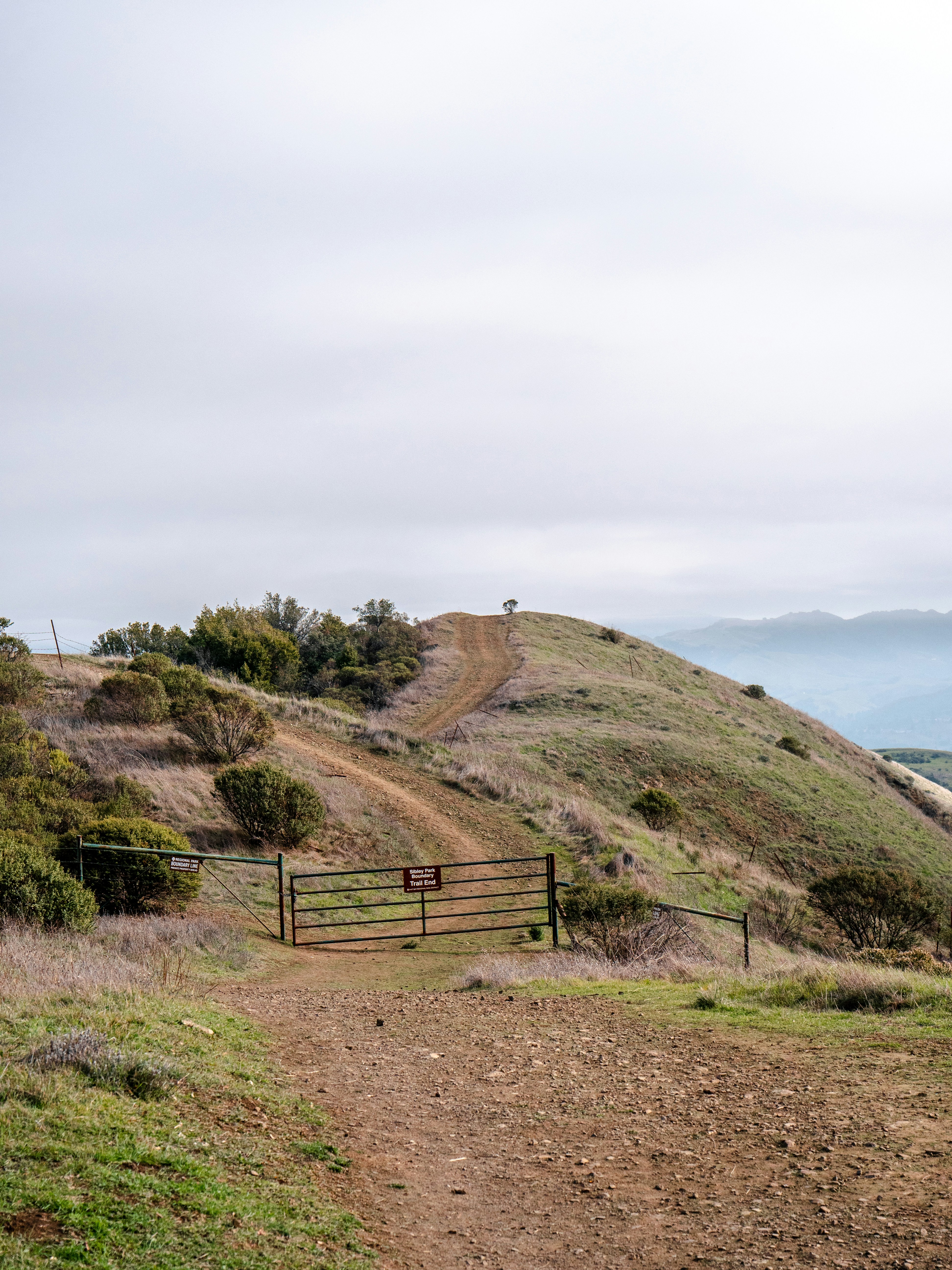 Gateway on the Hill: A Winding Trail to the Quiet Summit