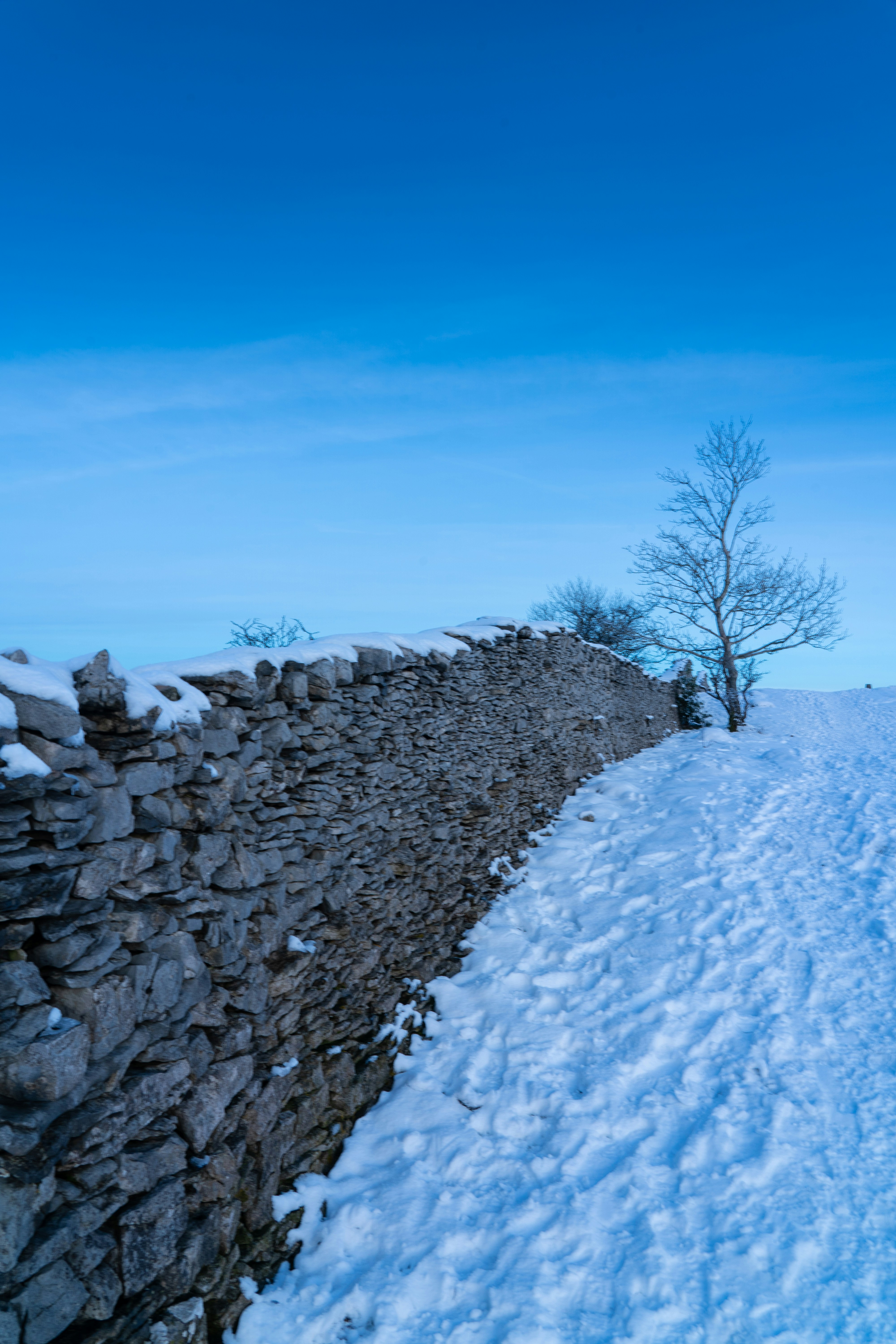 Snow-Covered Stone Wall Reaching Toward a Leafless Tree Under a Clear Blue Sky