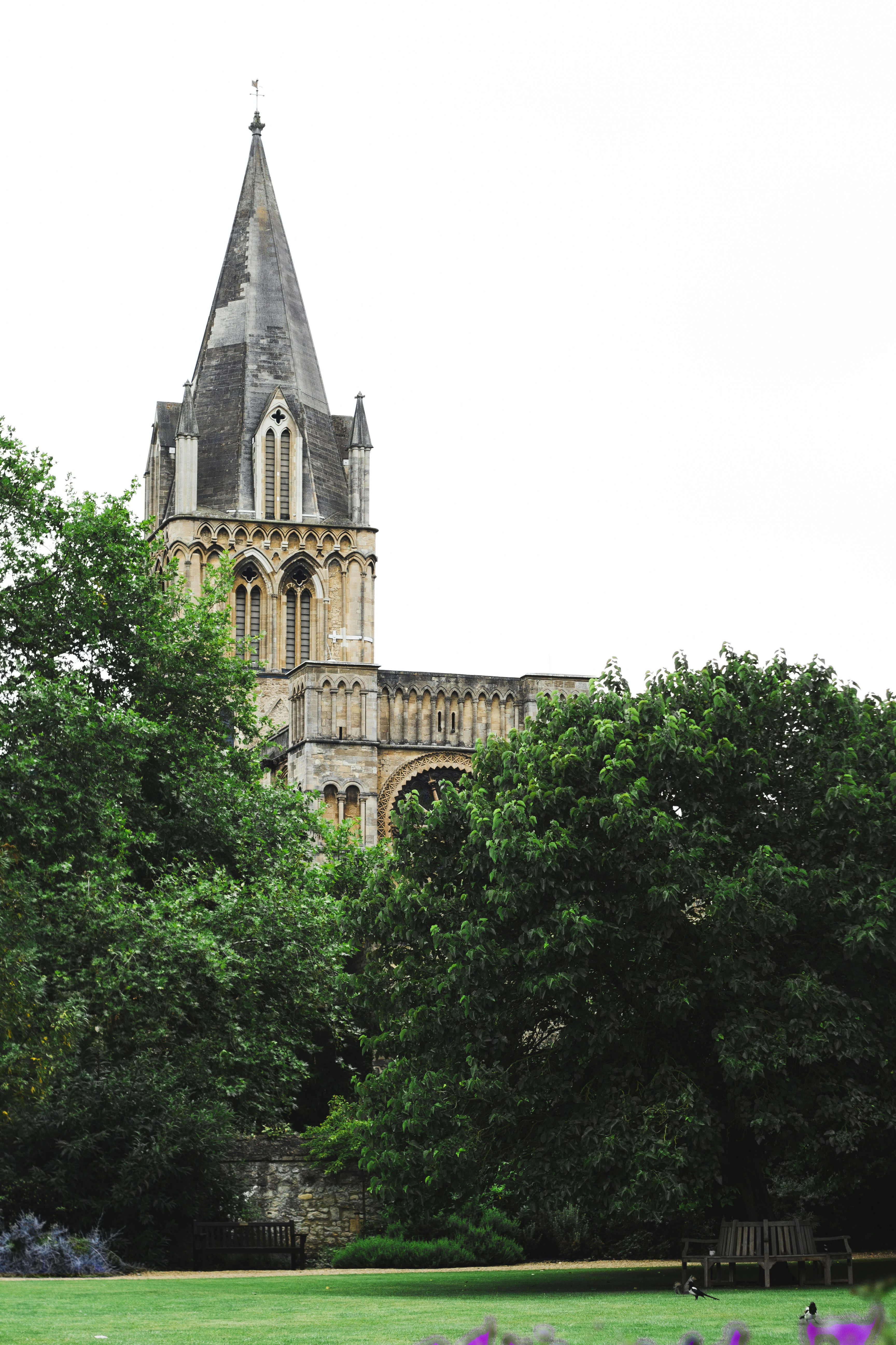 Gothic tower rising above lush greenery in a tranquil garden setting, showcasing intricate architectural details against a cloudy sky.
