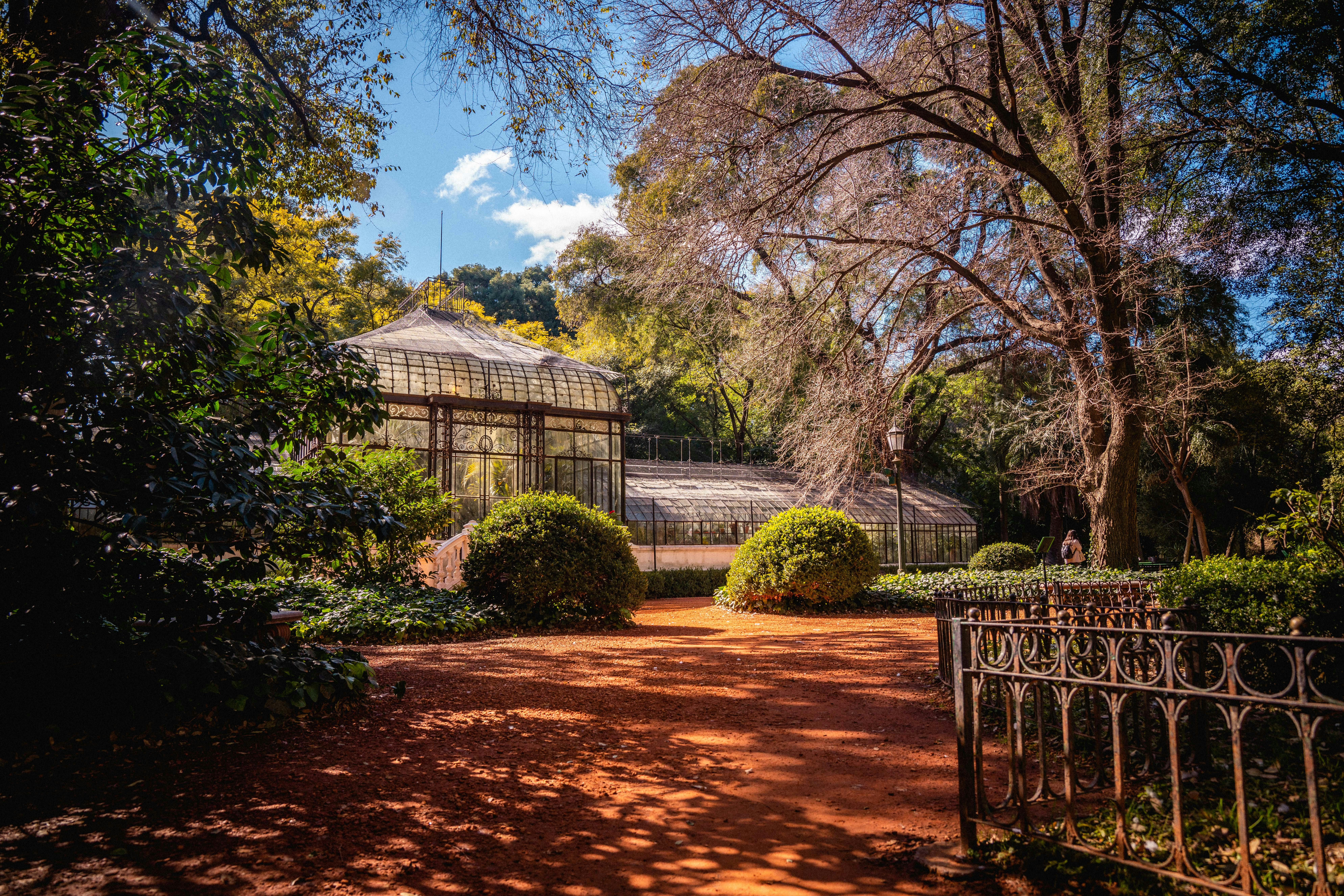 Sunlit greenhouse surrounded by lush greenery and a rust-colored path under a clear blue sky.