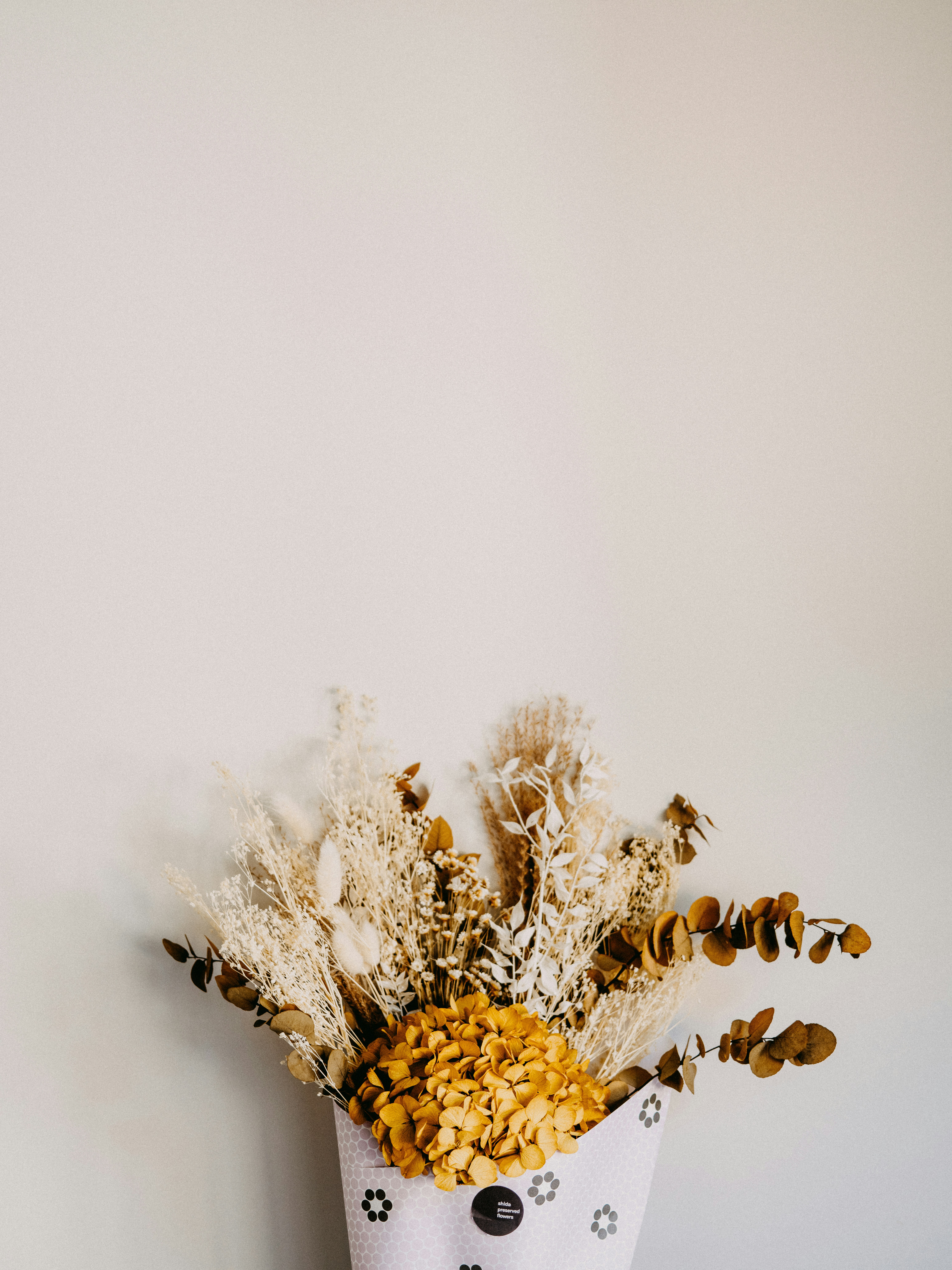 Warm Echoes: Dried Bouquet in a Minimalist White Vase