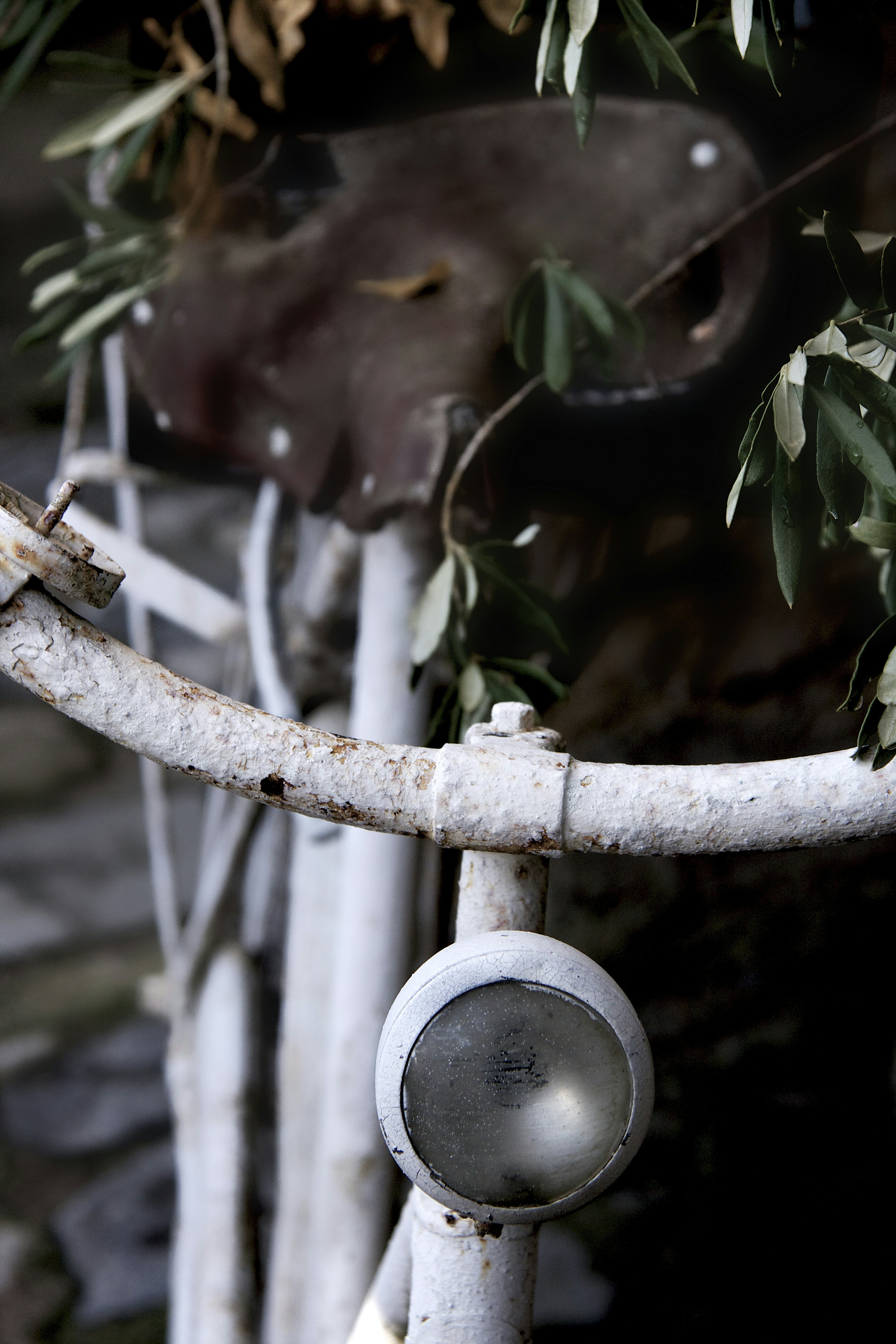 Moonlit Headlamp on a Weathered Bicycle: Ivy-Framed Rust in Focus