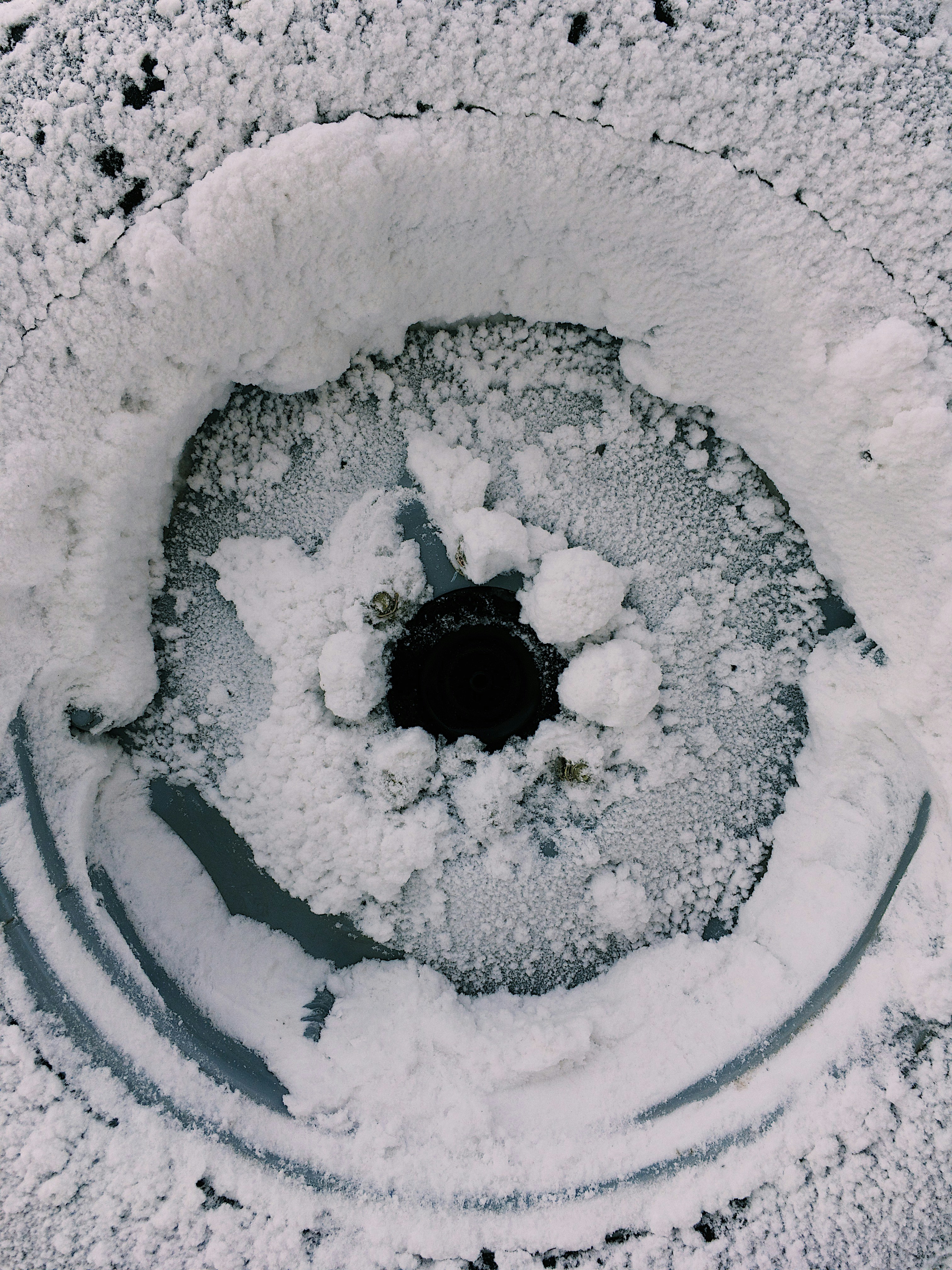 Snow-Scaled Vortex: Concentric rings around a hidden center
