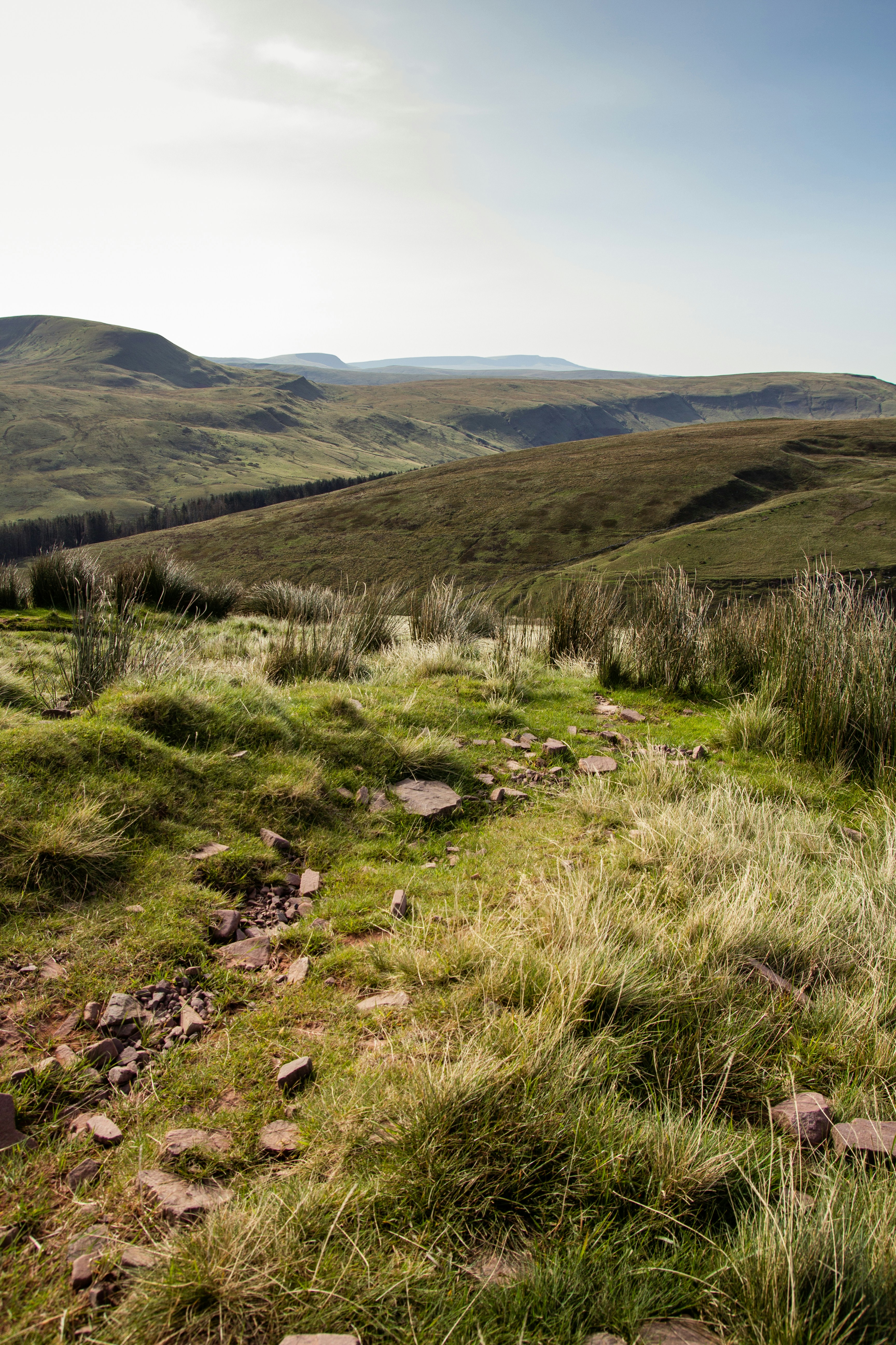Lush green hills stretch into the distance under a clear sky, with rocky paths weaving through the foreground. The scene captures the serene beauty of the landscape.