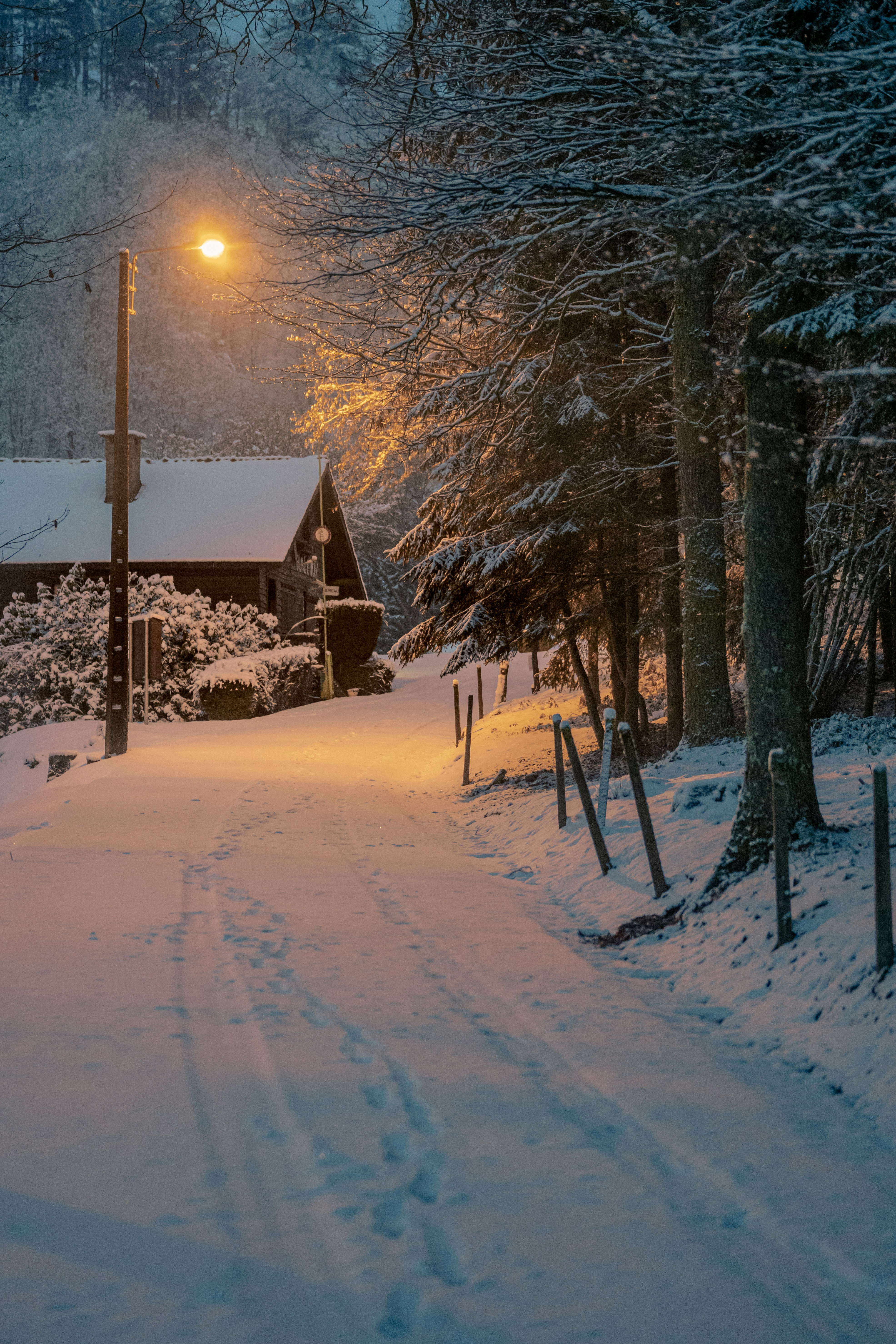 Snow Night Photography