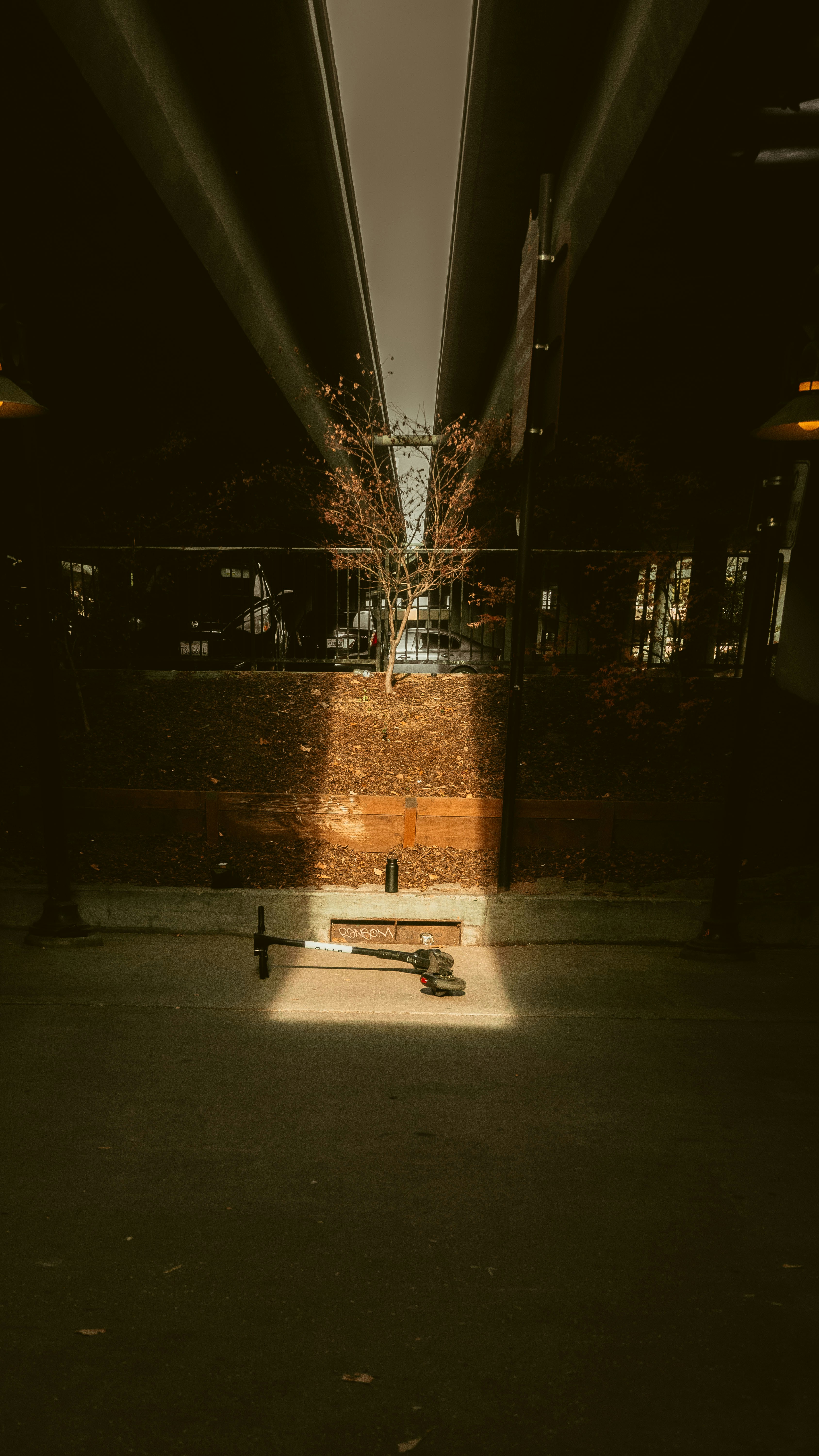 A solitary tree illuminated by a beam of light, surrounded by urban structures and a parked scooter on the pavement.