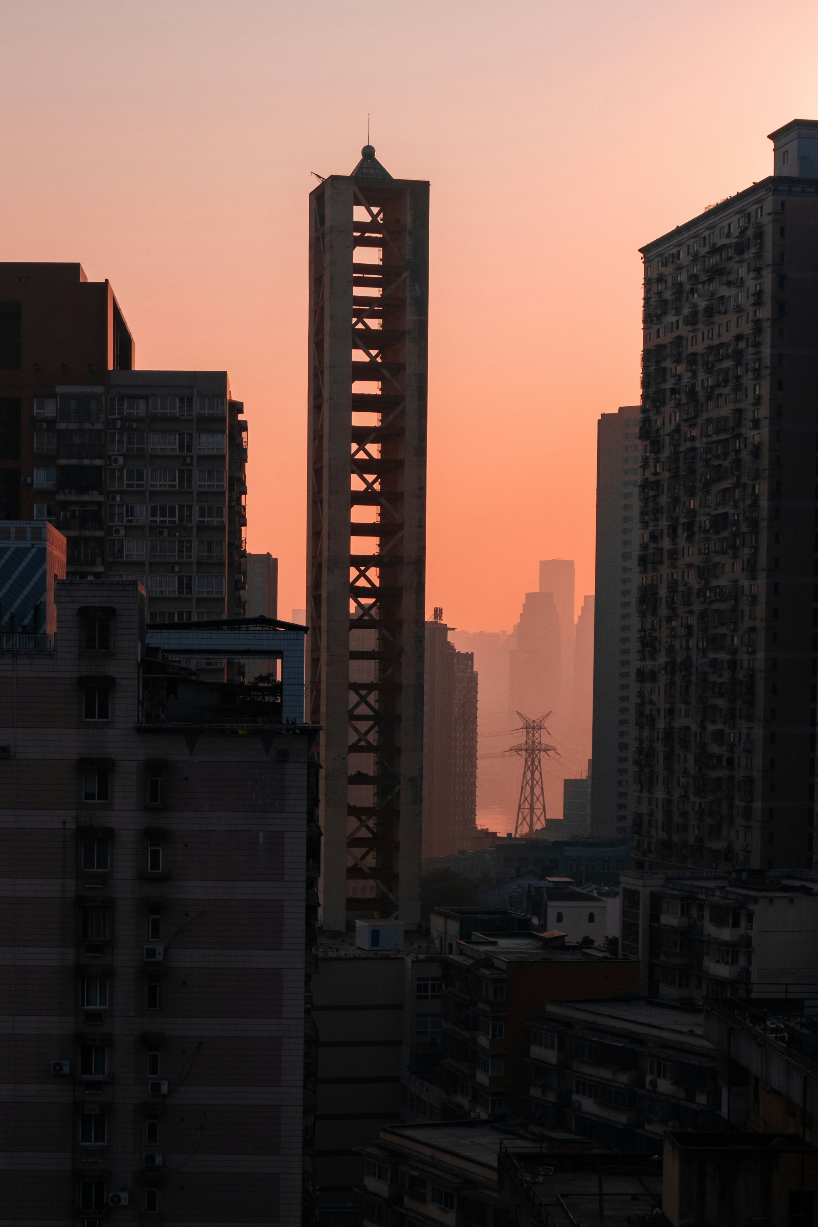 Towering structures silhouetted against a soft pink and orange sky, highlighting the contrast between nature and urban life.