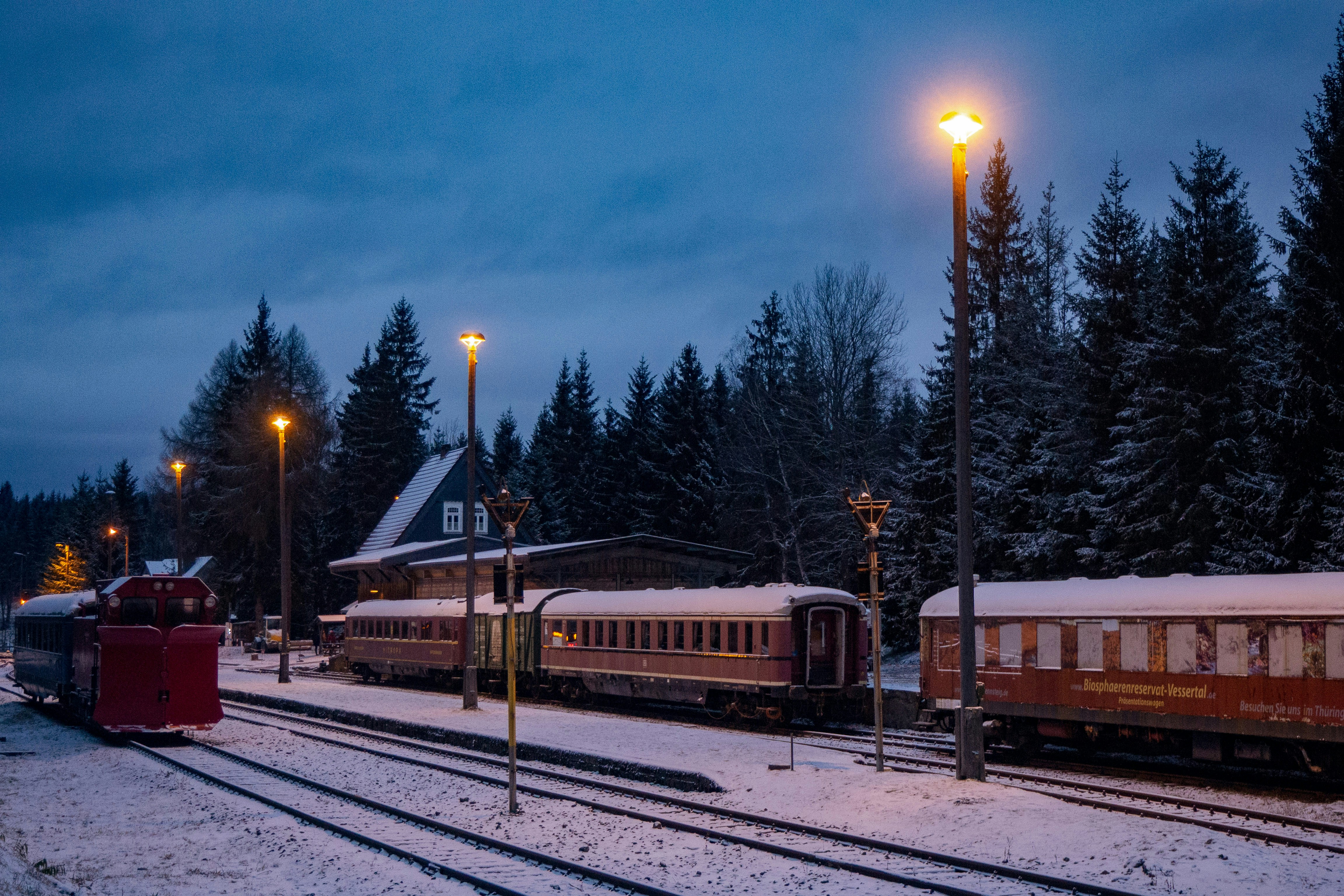 Snow-dusted train cars under warm streetlights at a rural station, surrounded by dense pine trees in the evening.