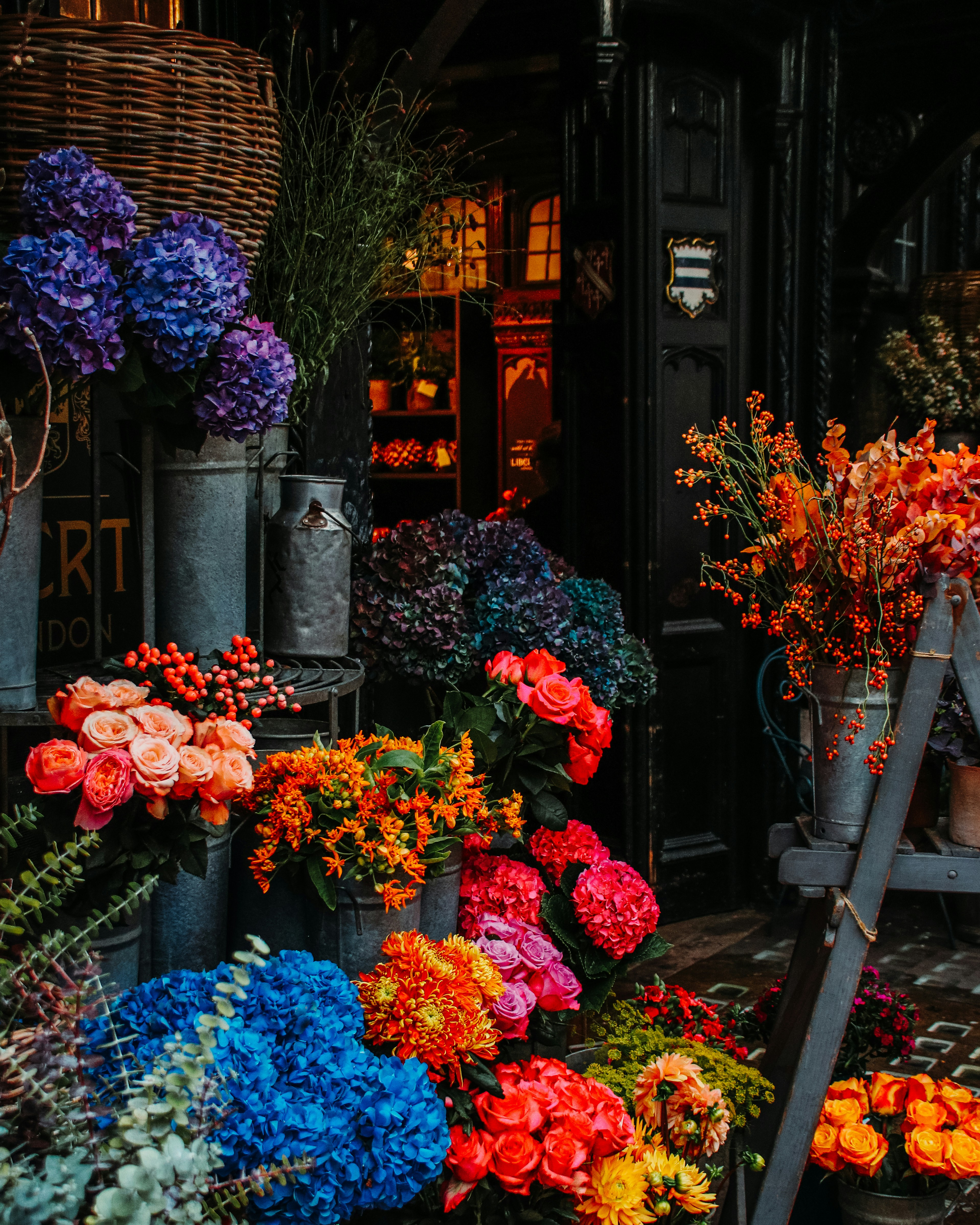 Flores rojas y moradas en maceta de acero gris foto – Imagen de Flores ...