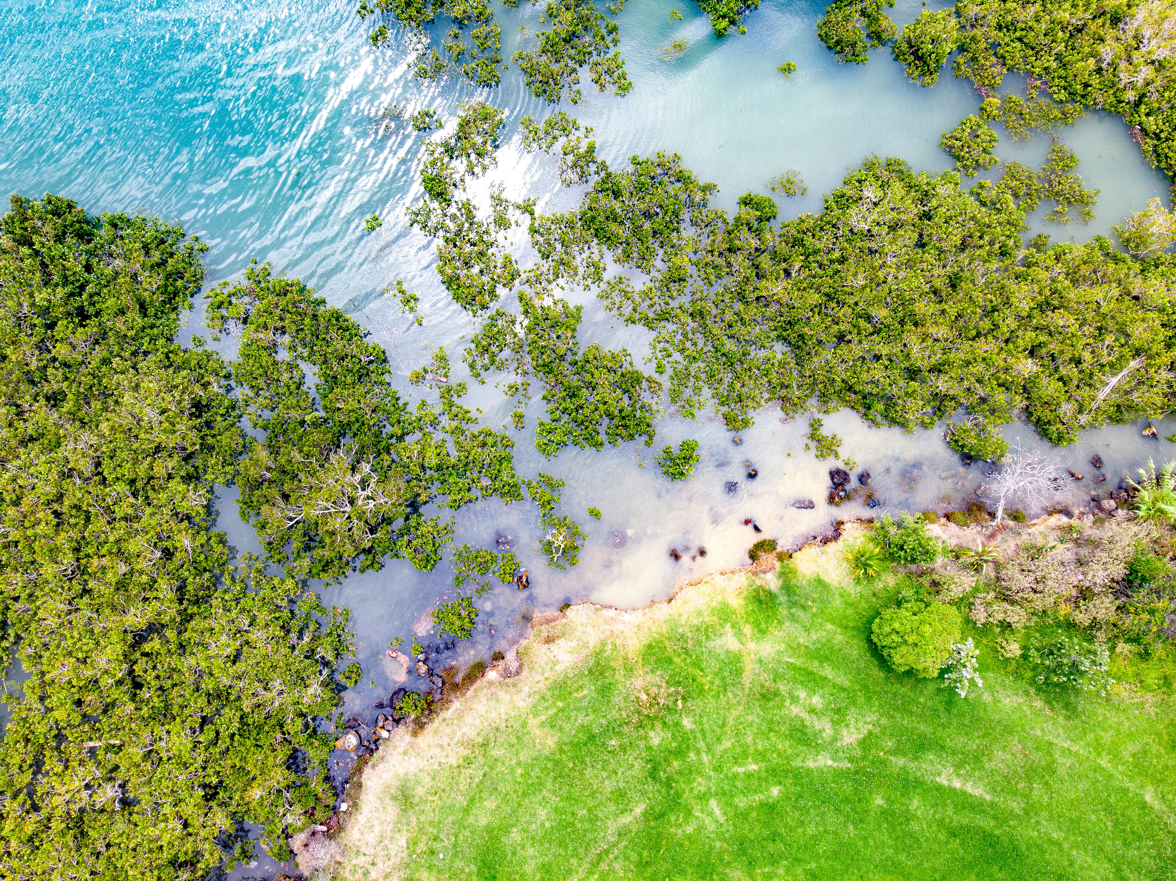 Green grass field near body of water during daytime photo – Free Meola ...