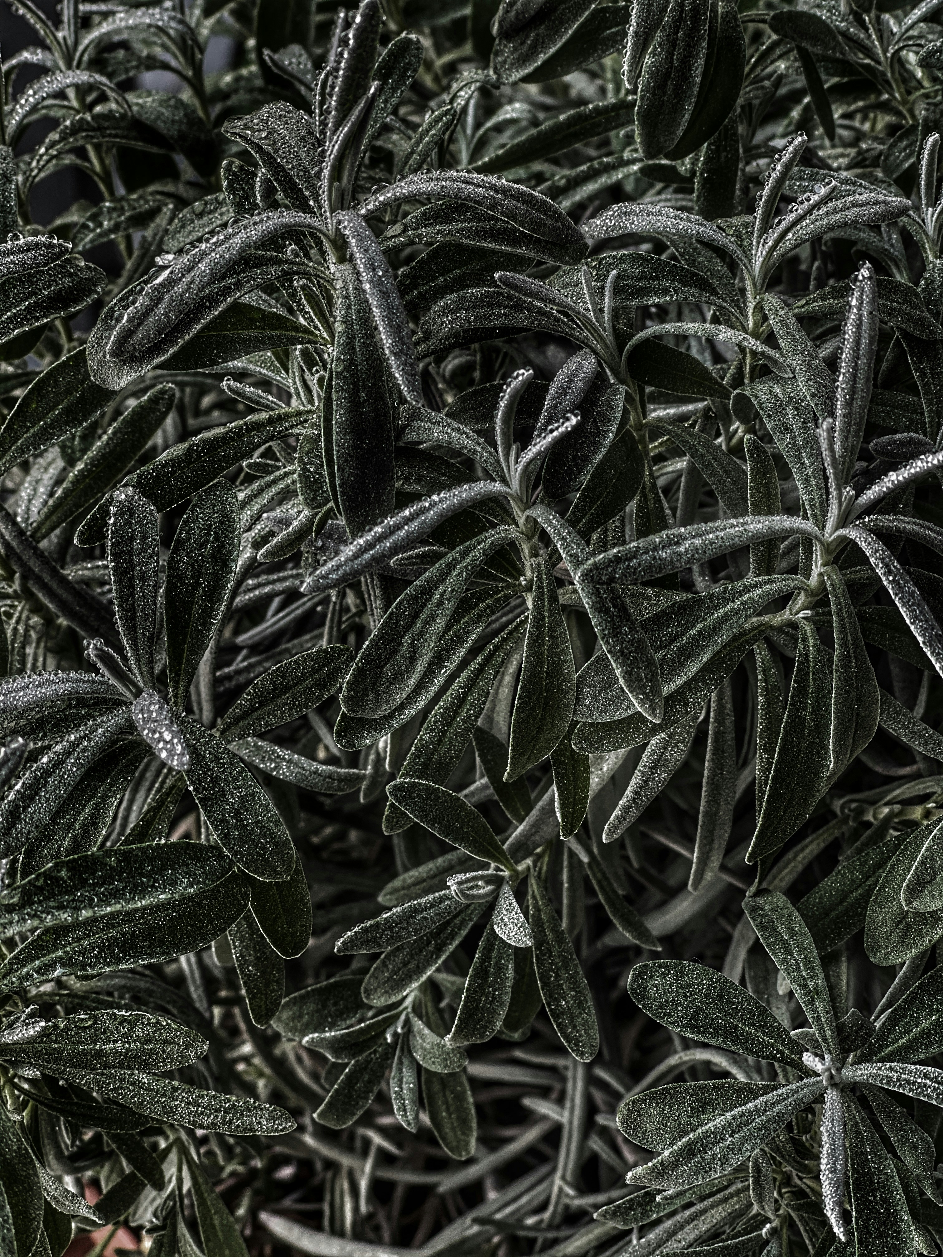 Marvin Castelino (@marvincastelino) | Communauté photos Unsplash