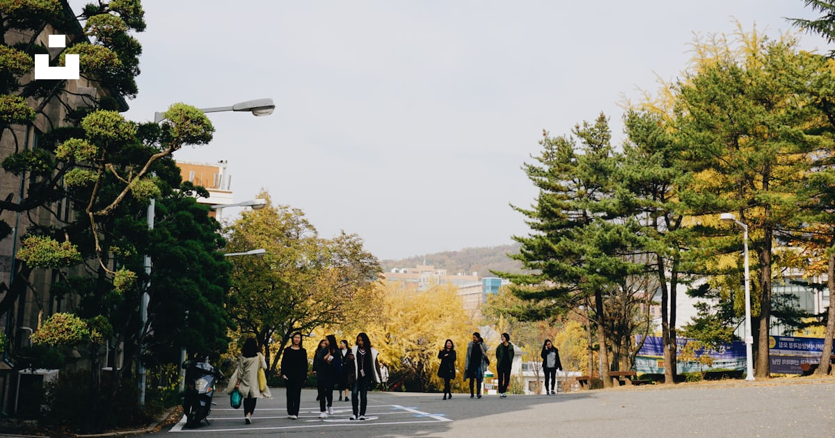 낮에 거리를 걷는 사람들 사진 Unsplash의 무료 사람의 이미지