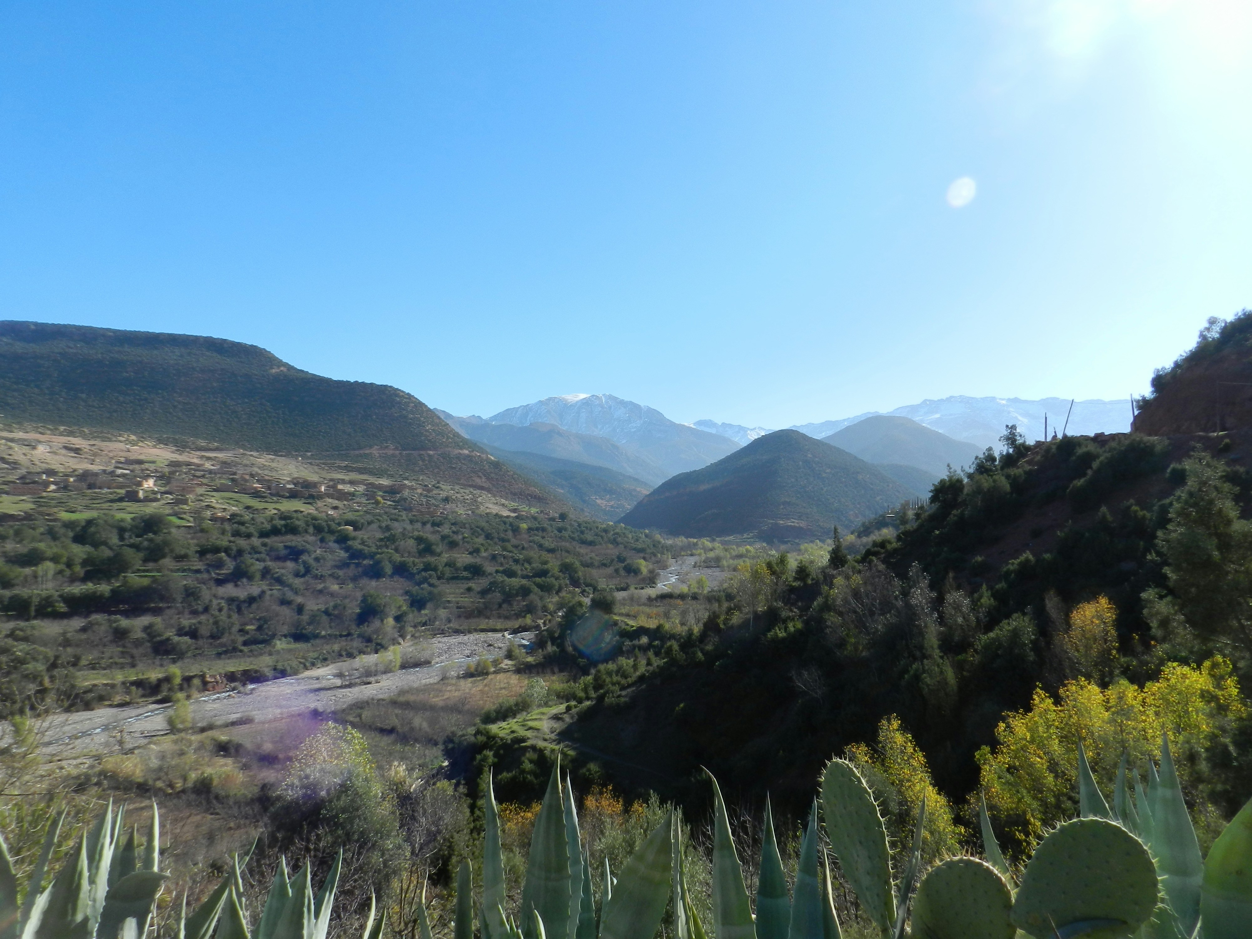 Green trees on mountain under blue sky during daytime photo – Free ...