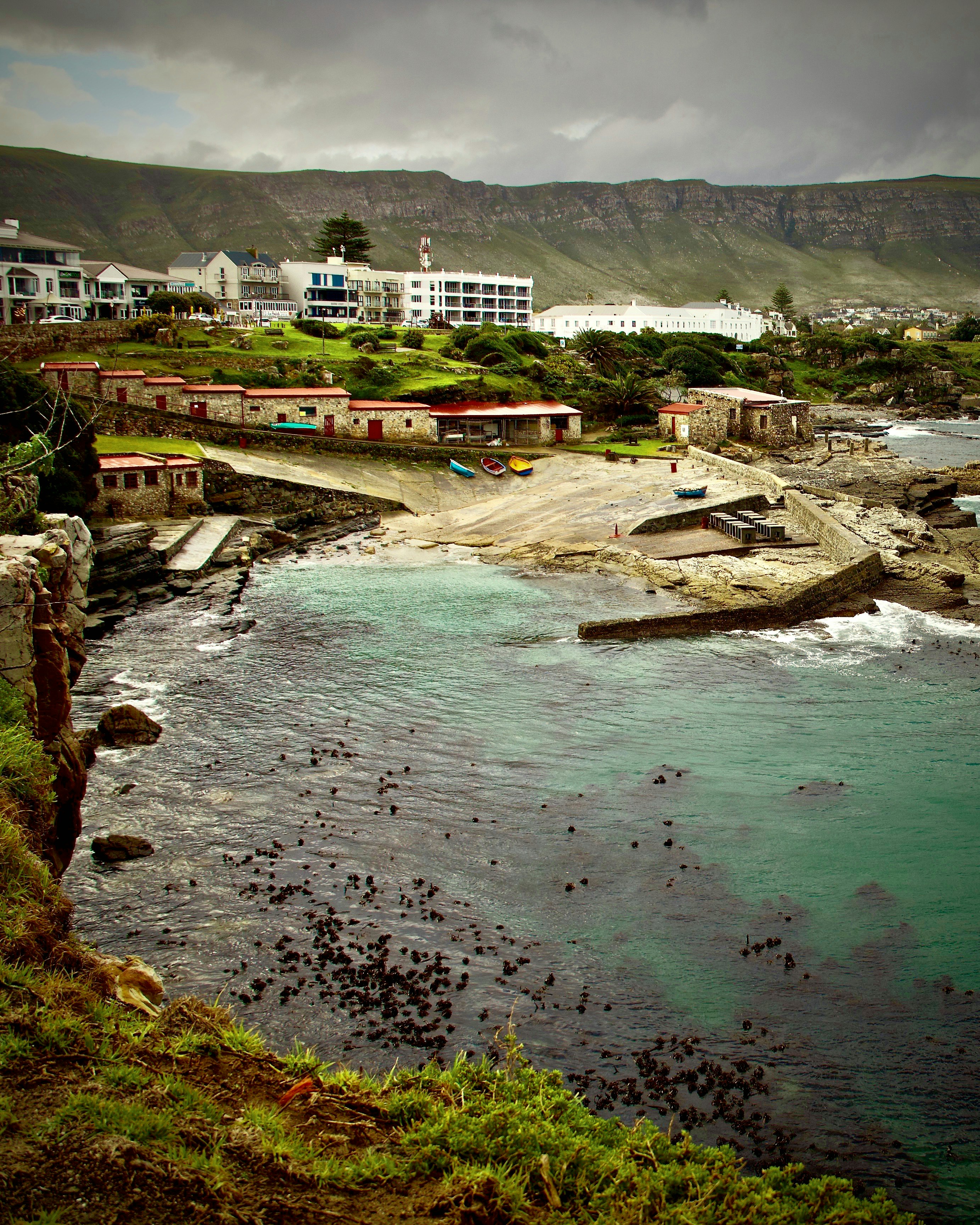 Hermanus Pictures | Download Free Images on Unsplash