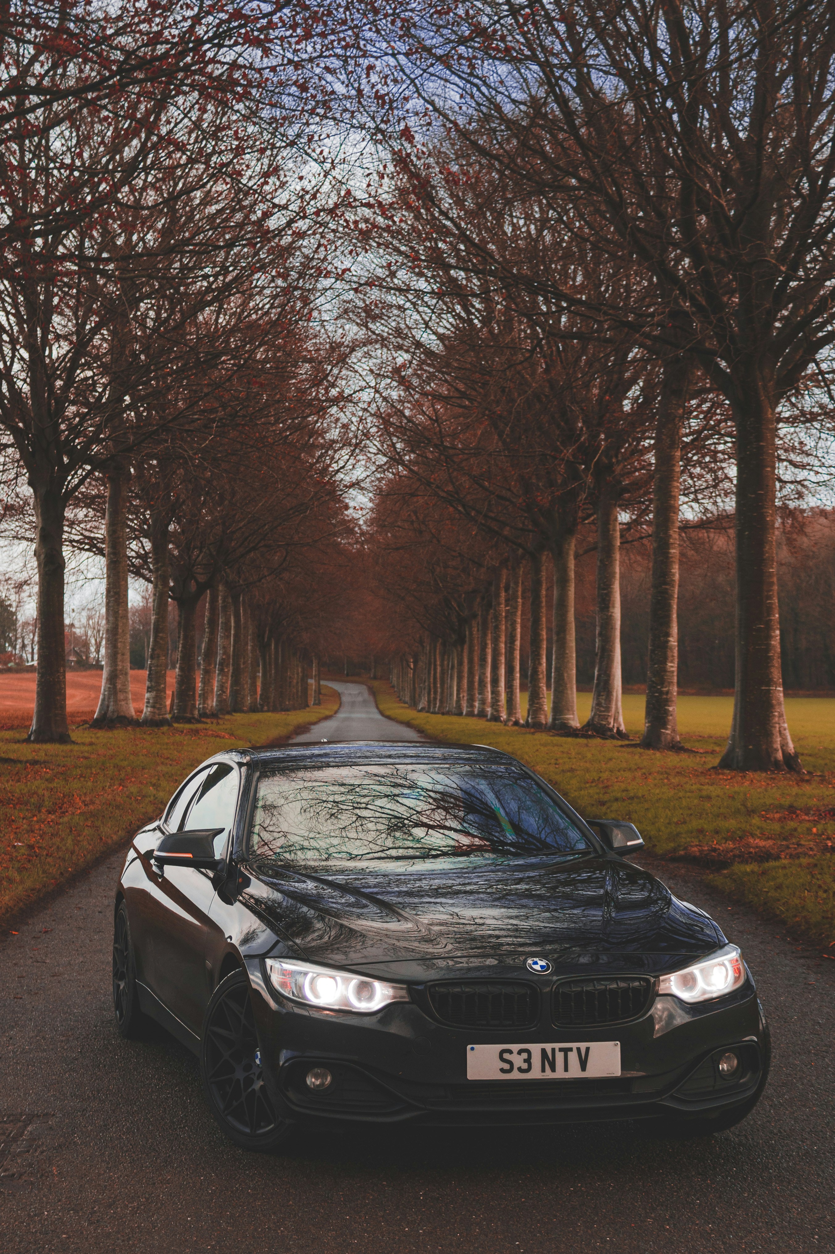 black car parked near bare trees during daytime