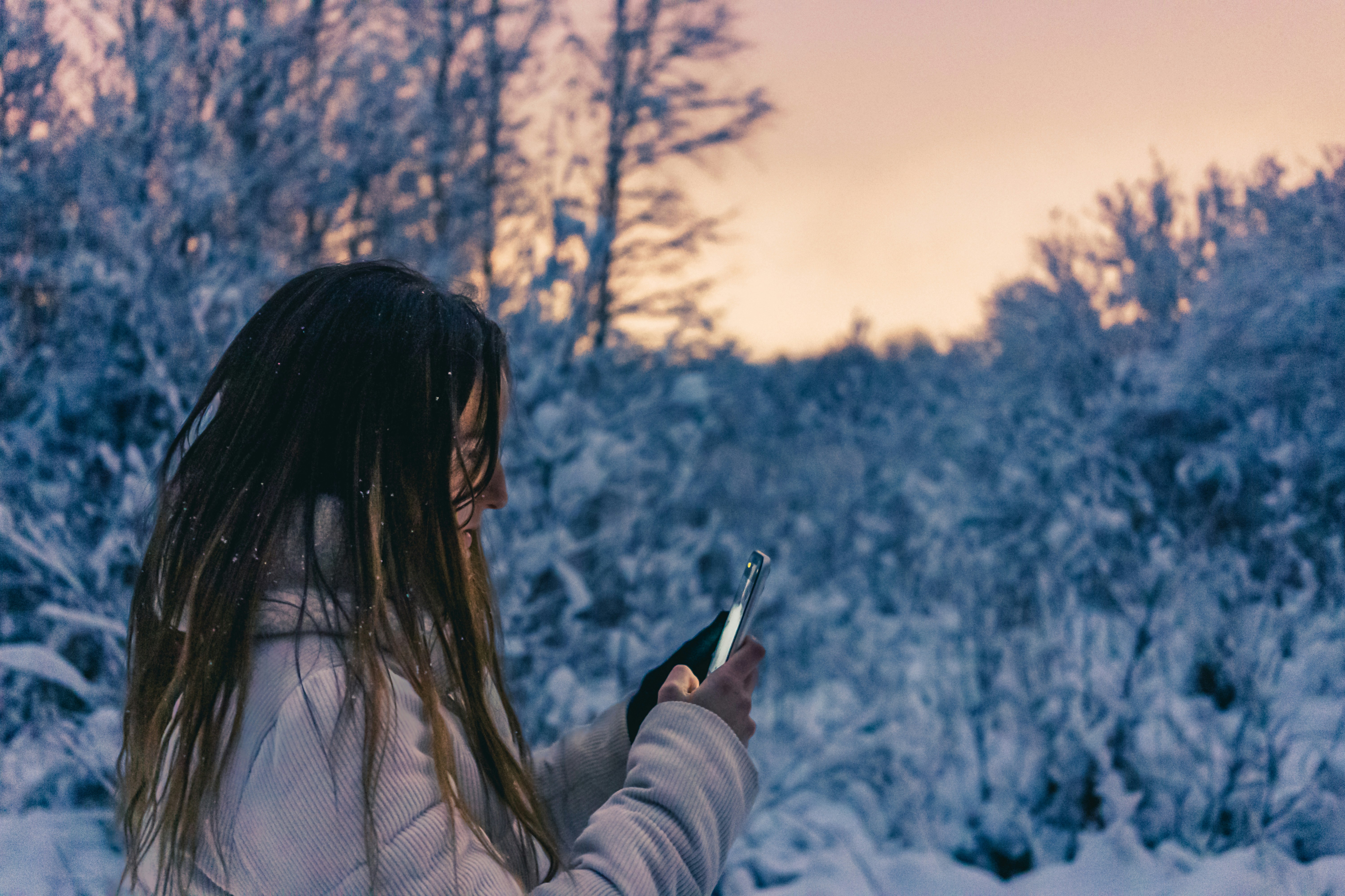 Snowbound Glow: A Quiet Moment with a Phone in Frost-Kissed Pines