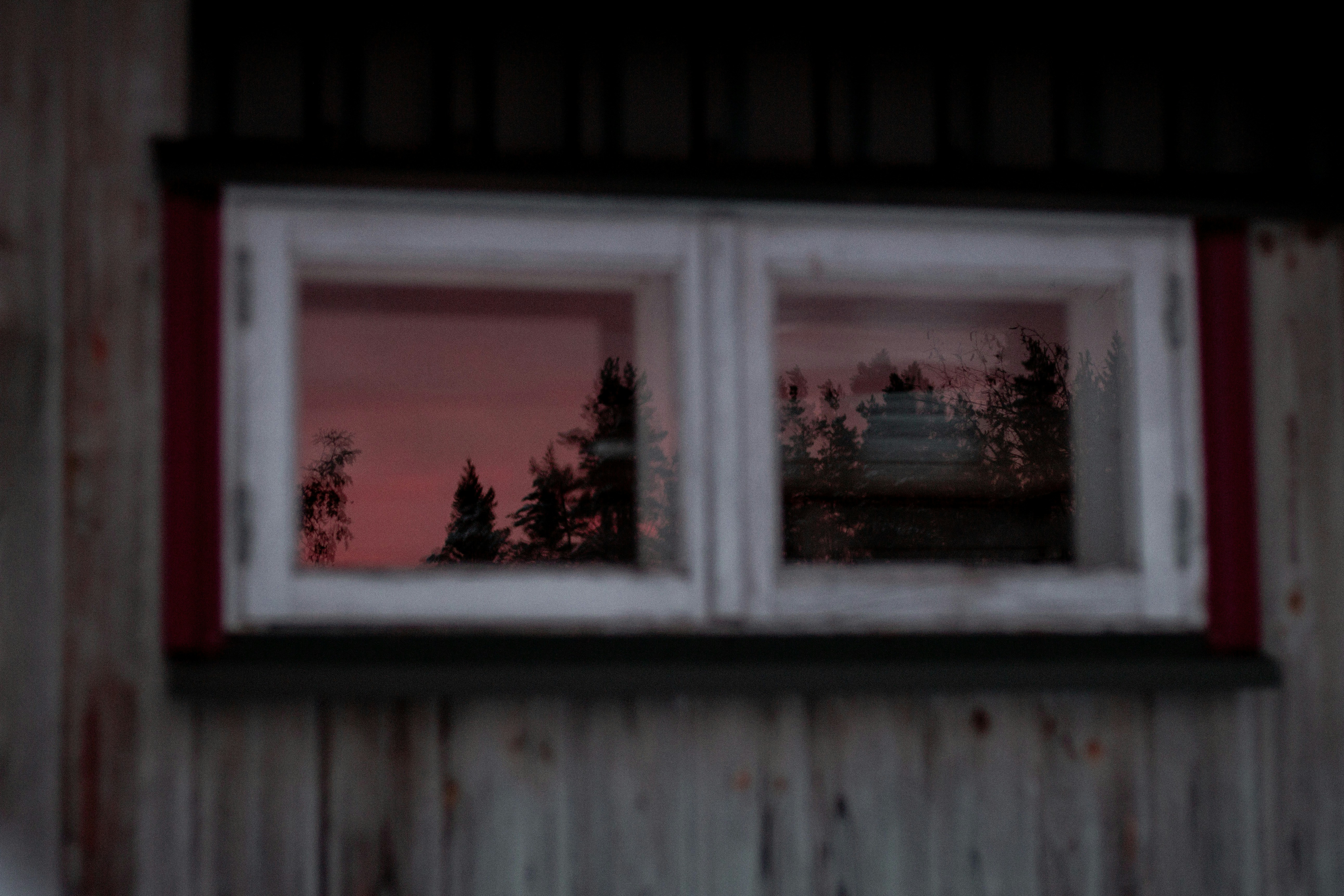 Reflections of silhouetted trees in a cabin window during a twilight sky, creating a serene atmosphere.
