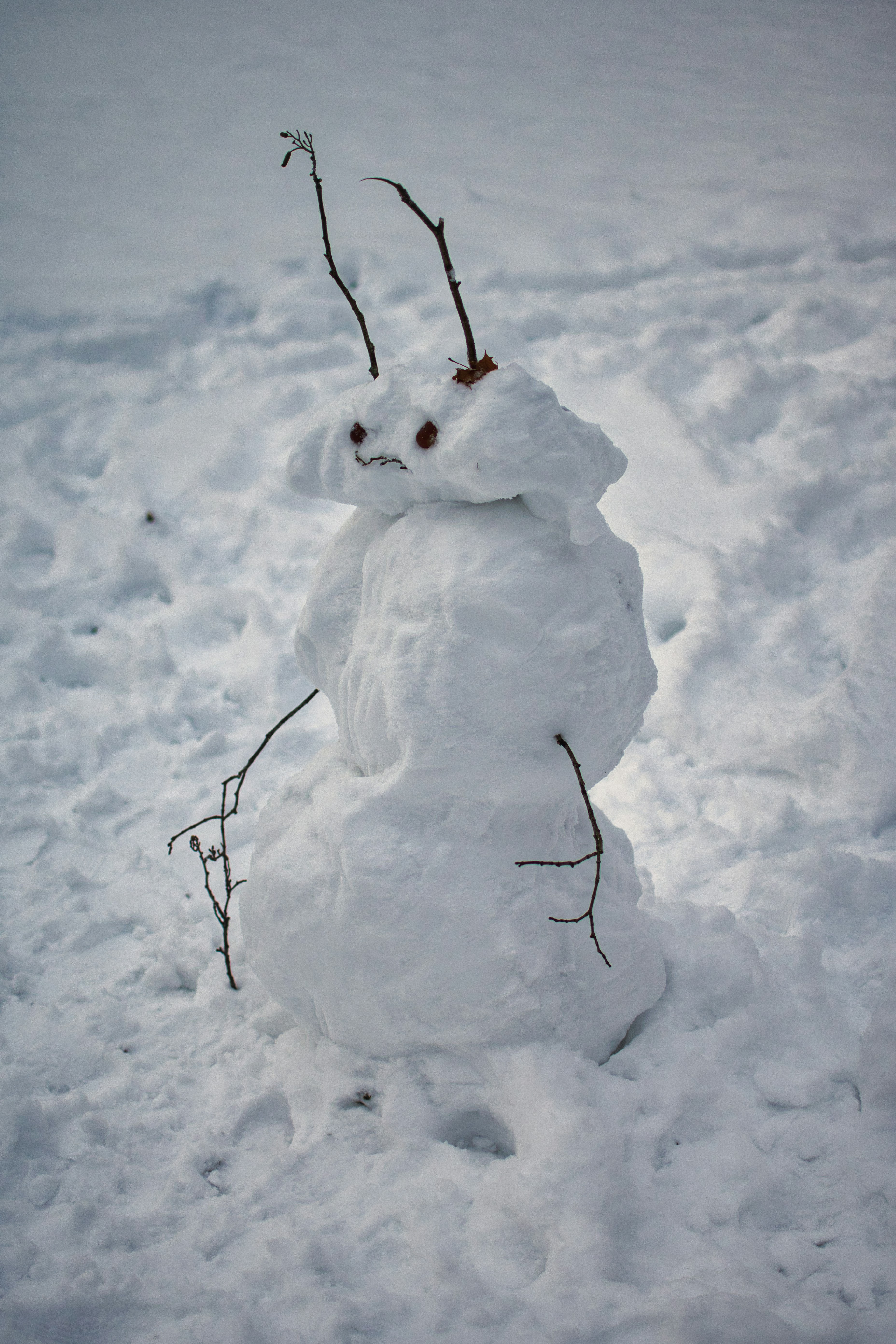 A charming snowman adorned with twigs for arms and stones for eyes, standing proudly in a snowy landscape.