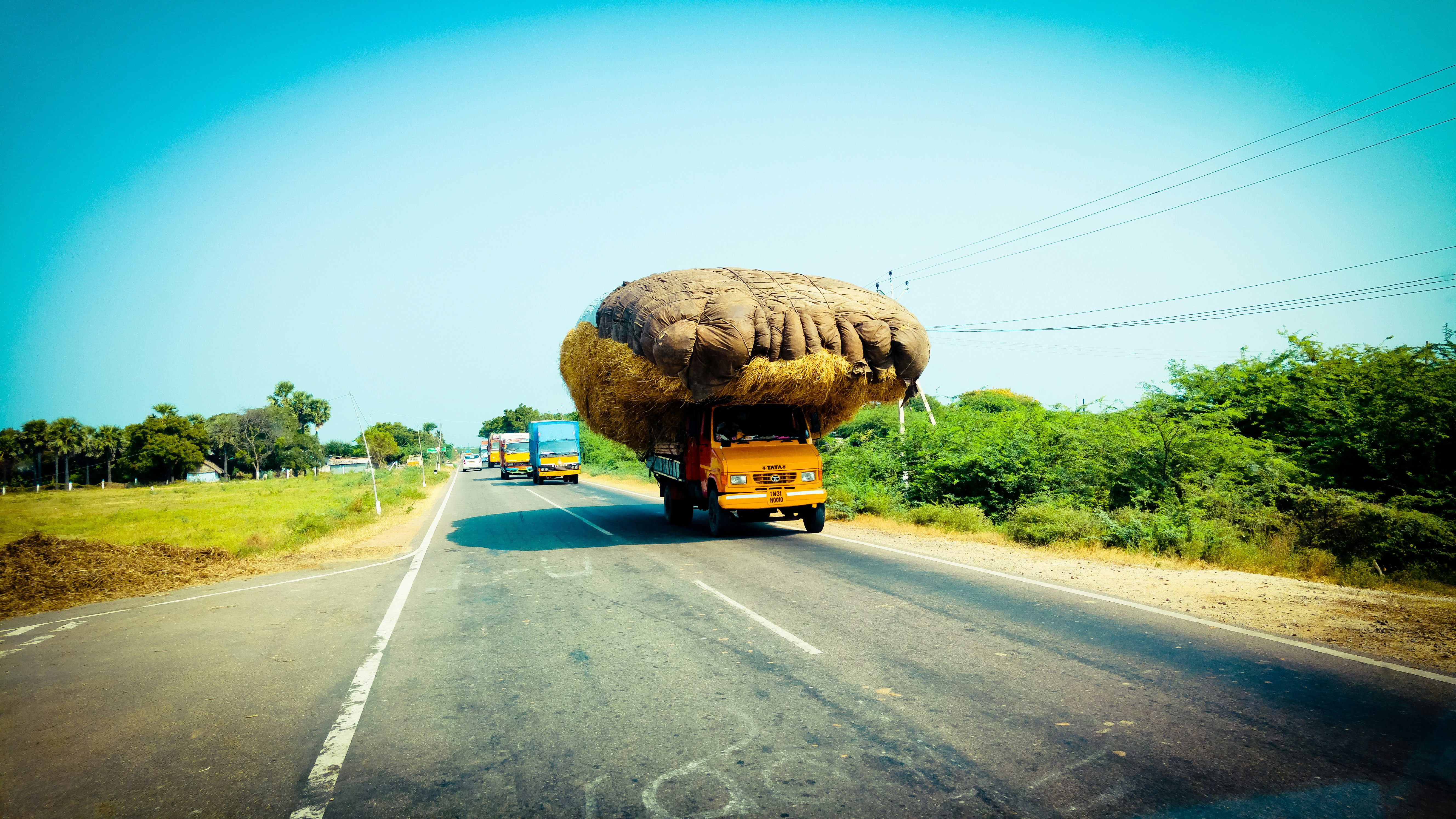 A sturdy truck carries a bulky hay load along a sunlit rural highway, with sparse vegetation and distant trees framing the road.