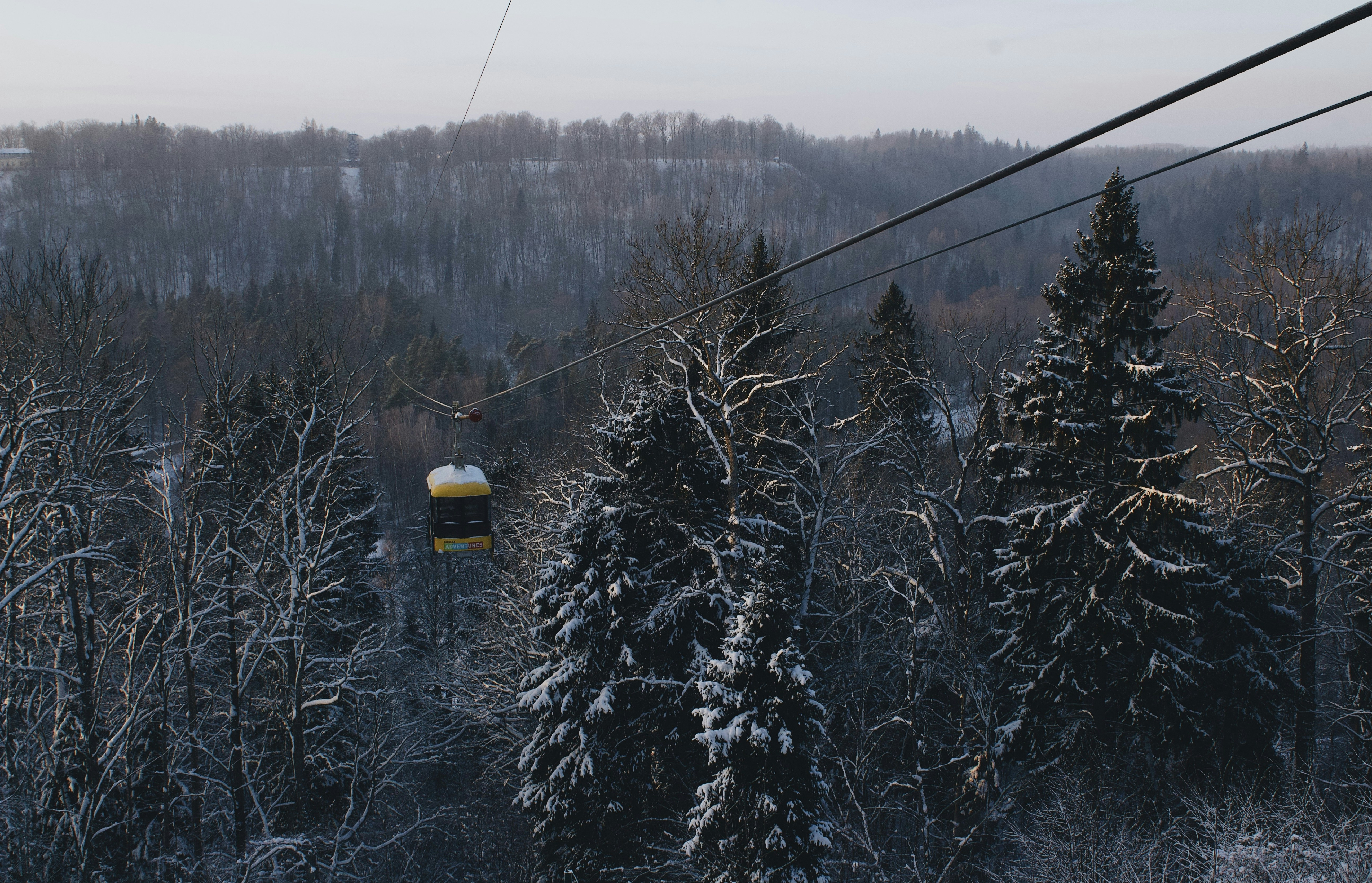 yellow and black cable car on snow covered trees during daytime