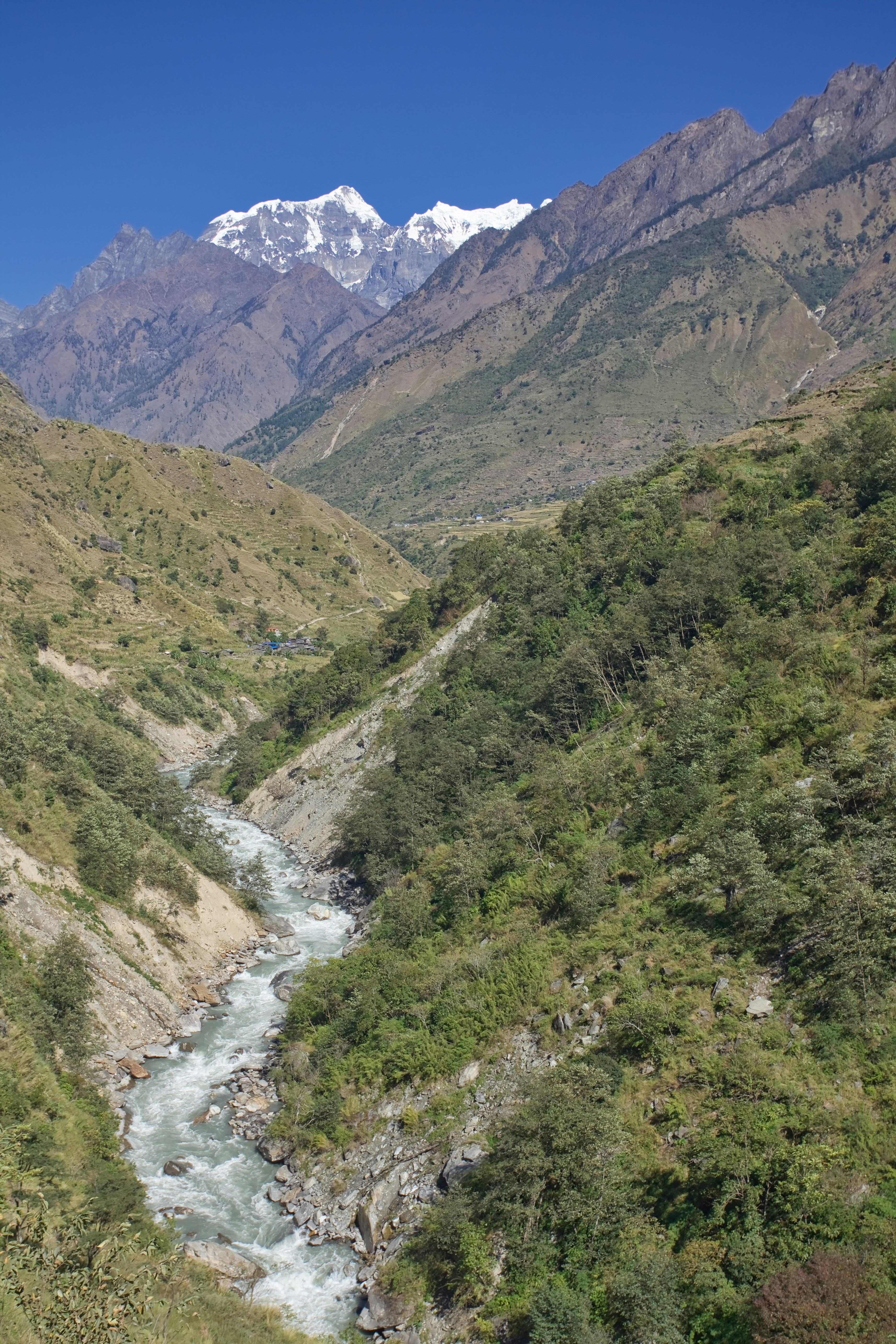 Ivory Peaks Over a Winding Alpine Gorge