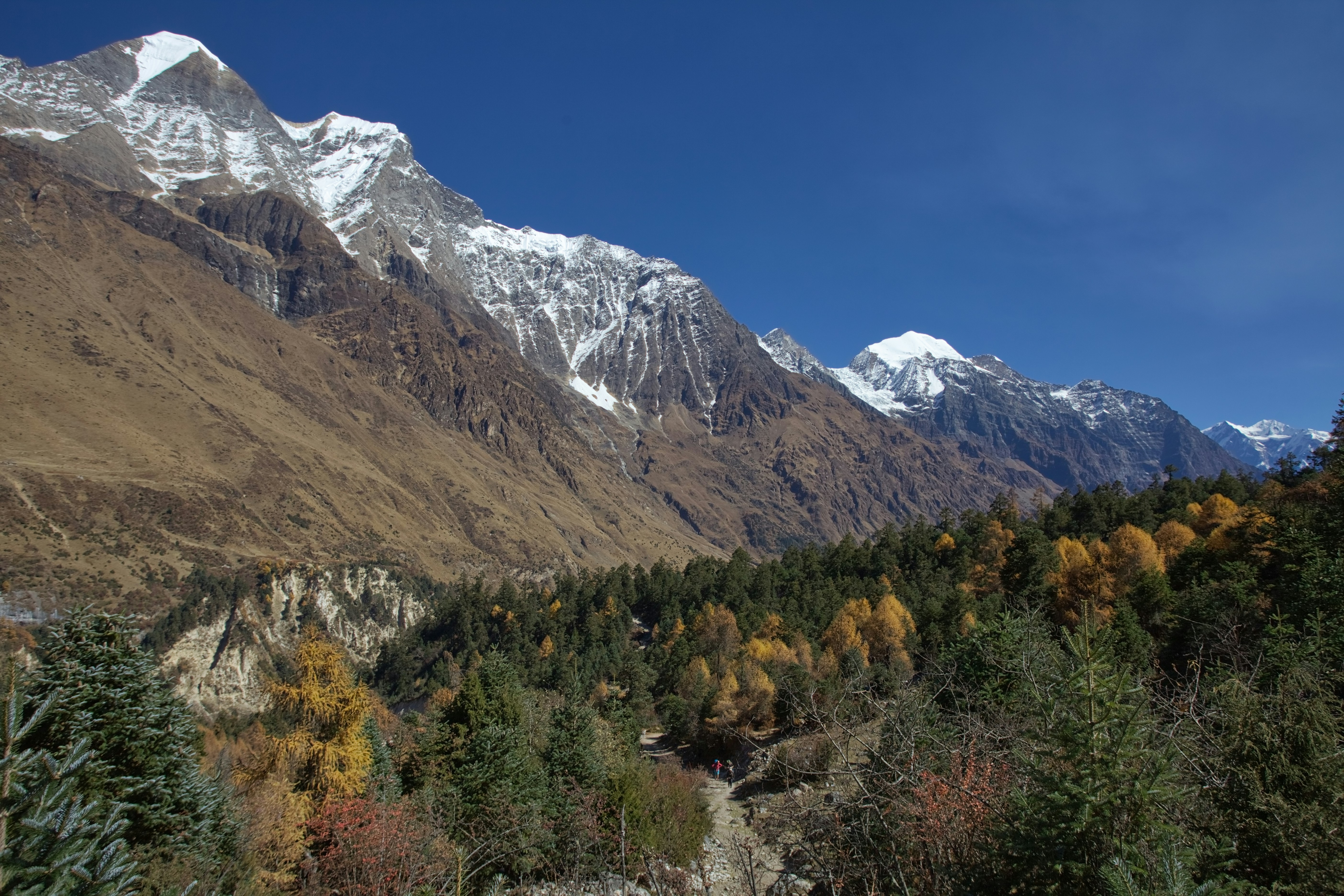 Vibrant autumn foliage contrasts with towering snow-capped peaks in a serene Himalayan landscape.