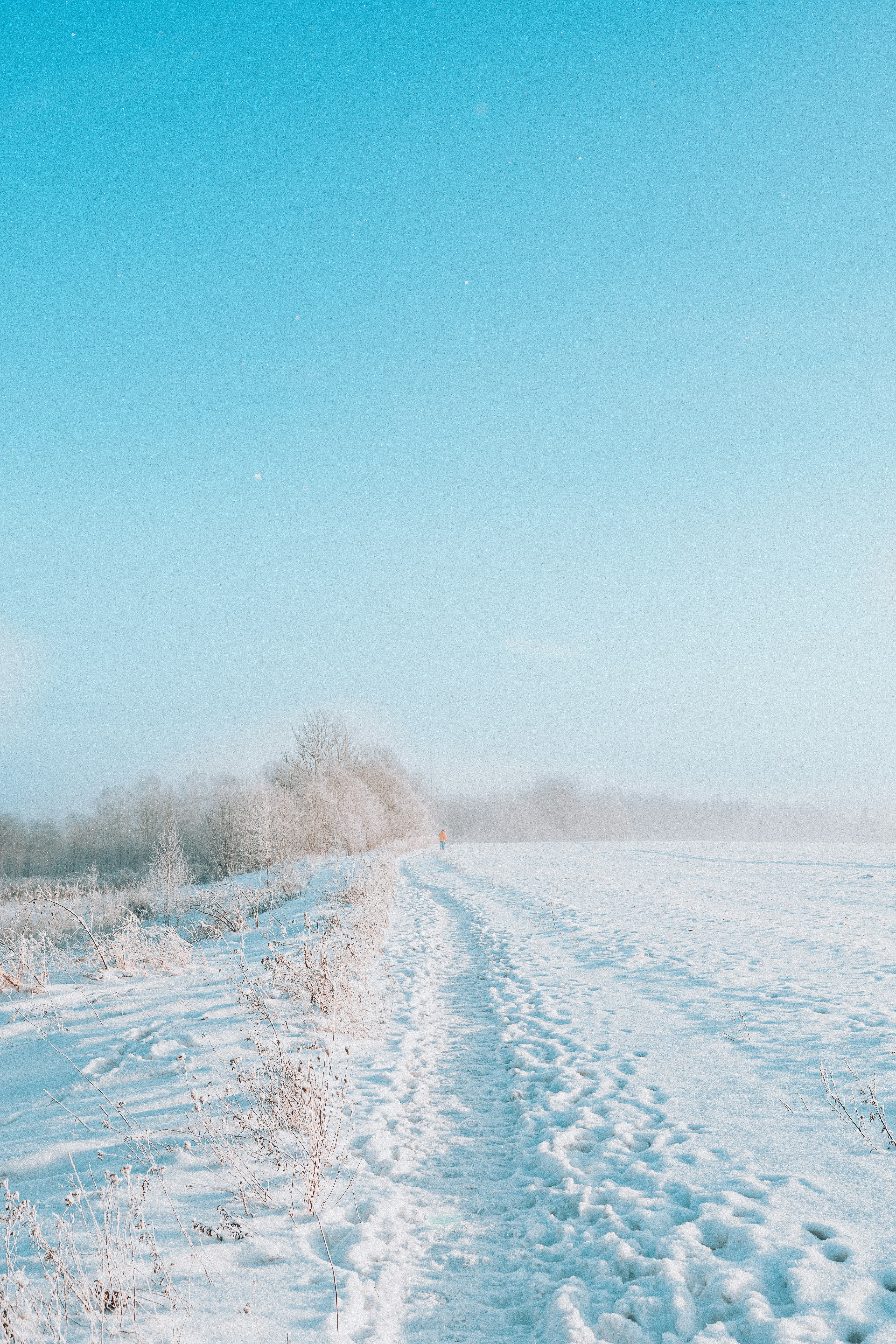 Winter Scenery Pictures | Download Free Images on Unsplash
