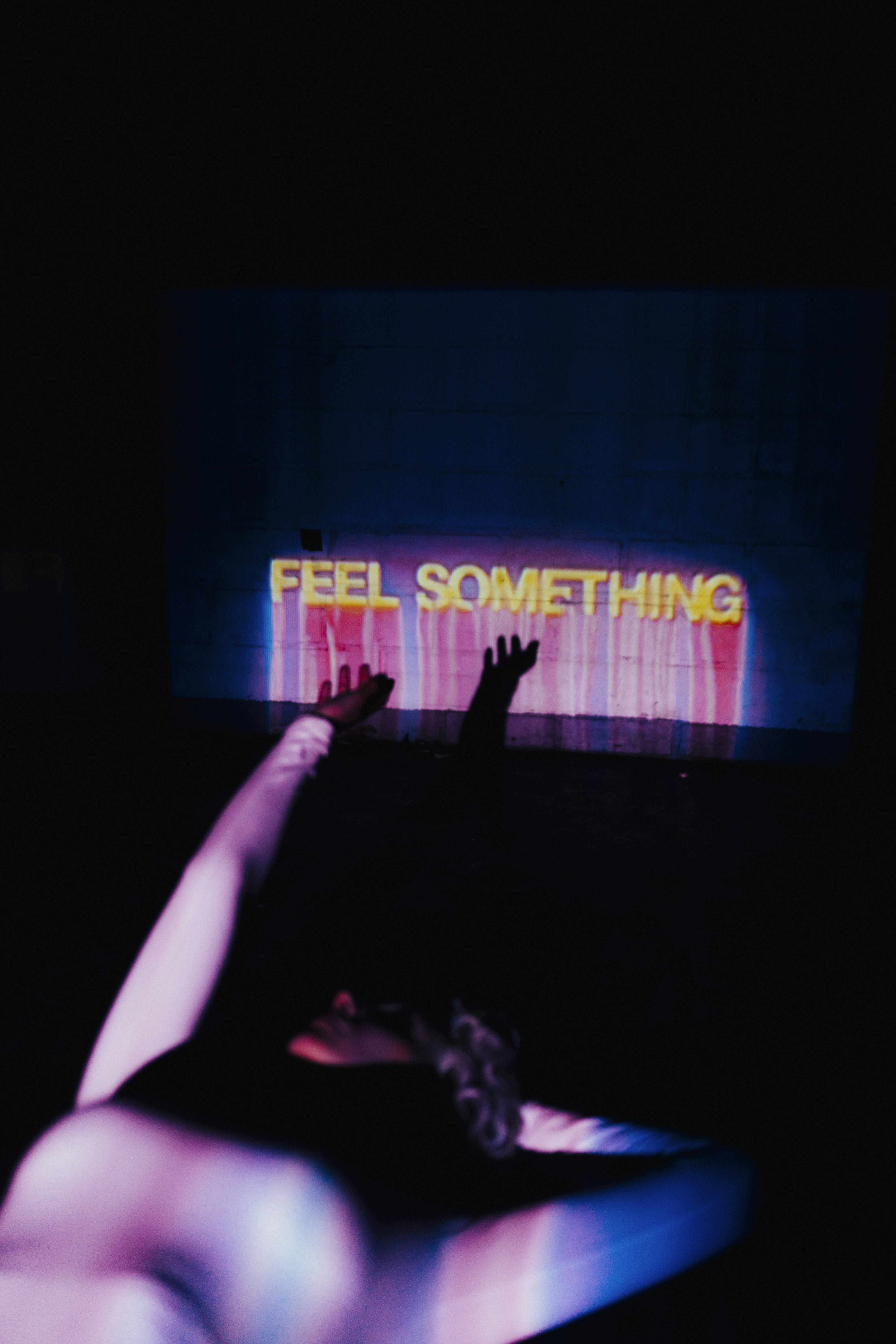 Echoes of Emotion: A Visual Dialogue