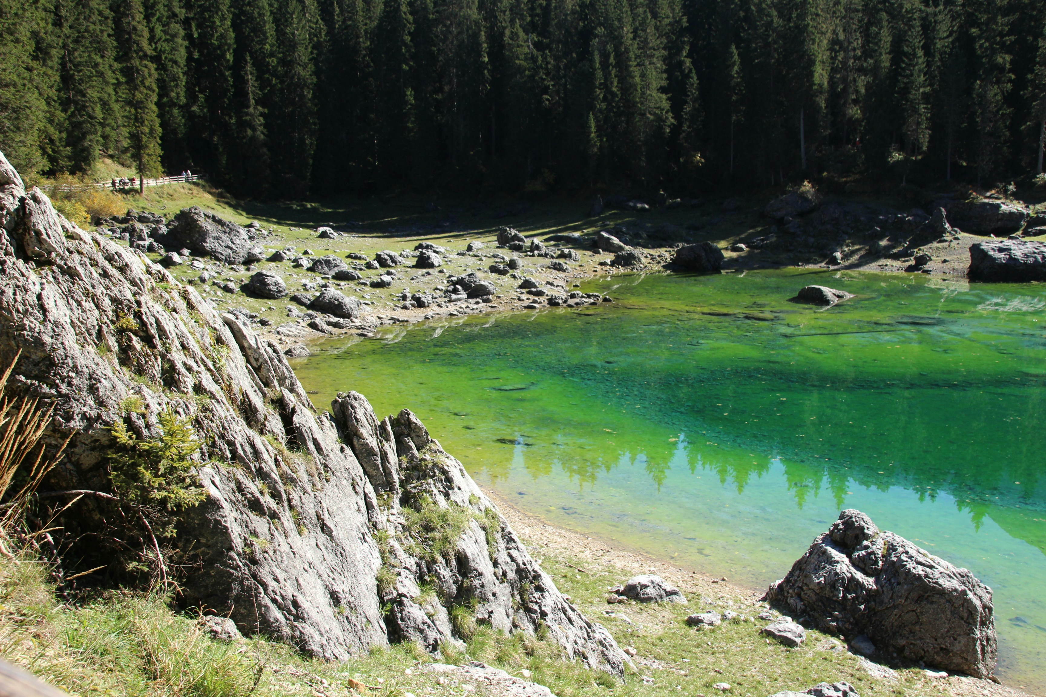 Clear emerald lake surrounded by rocky terrain and dense pine forest, showcasing the vibrant colors of nature.
