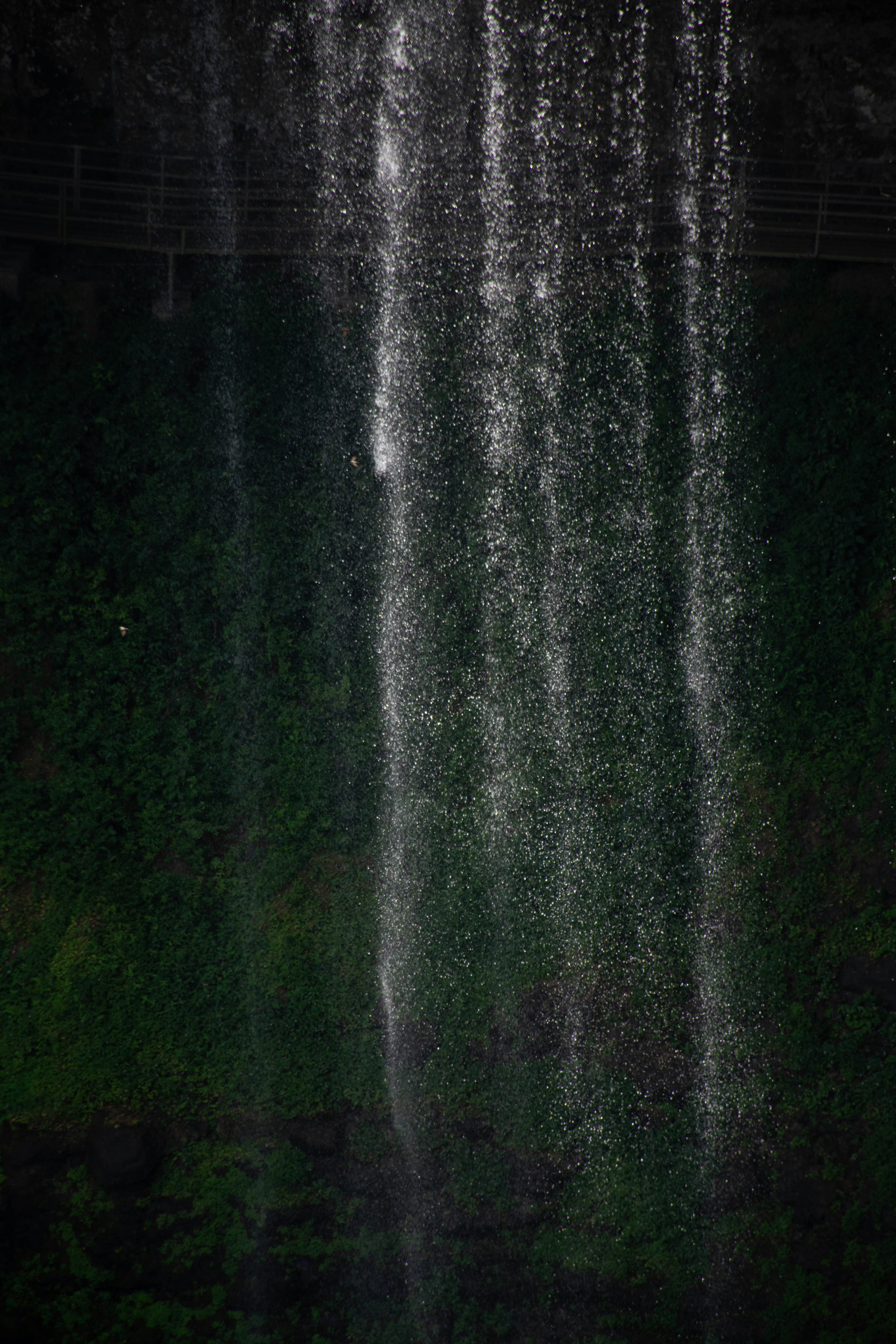 Green grass field during night time photo – Free Grey Image on Unsplash