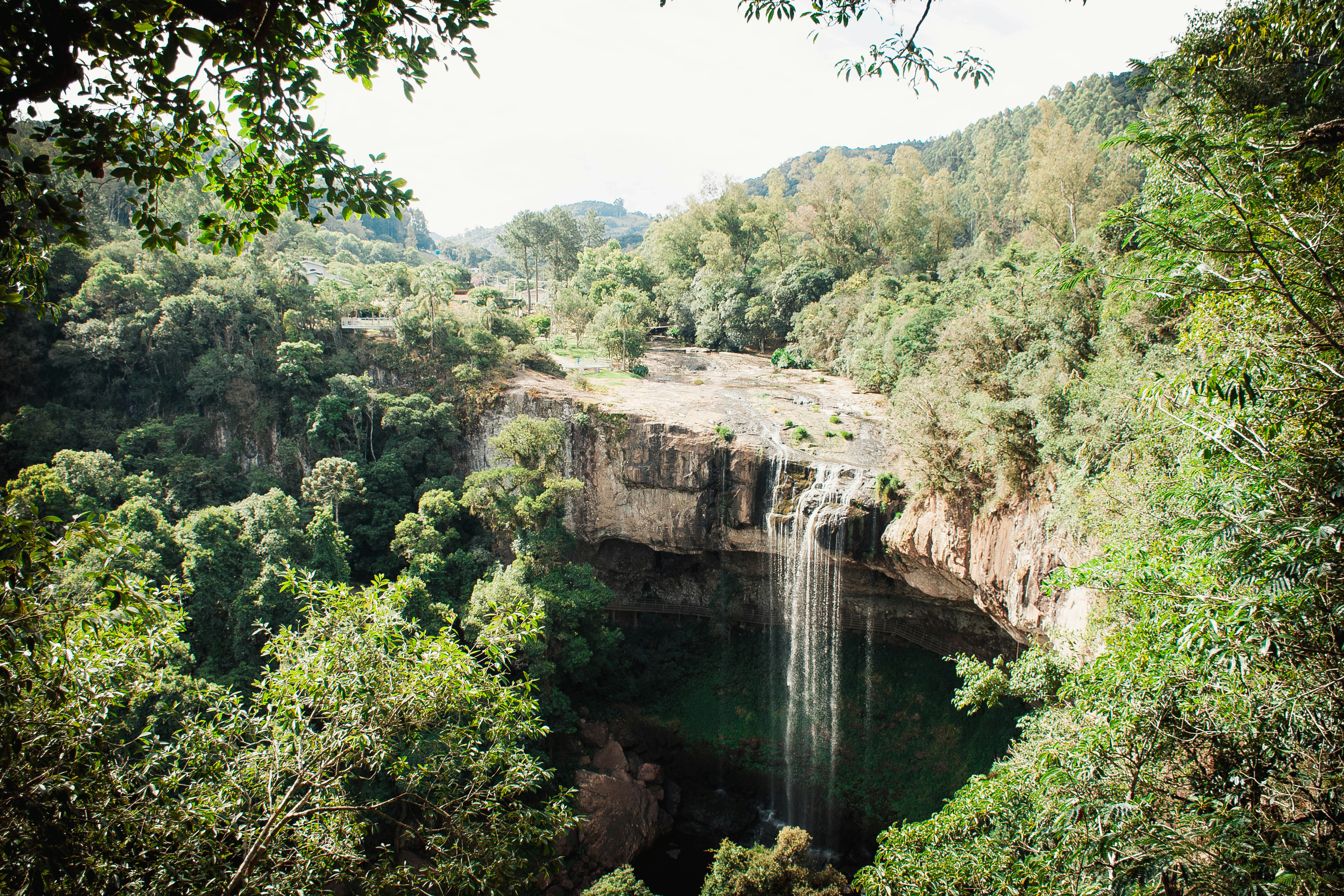 Emerald Gorge Cascade: A Cliffside Waterfall Framed by Jungle