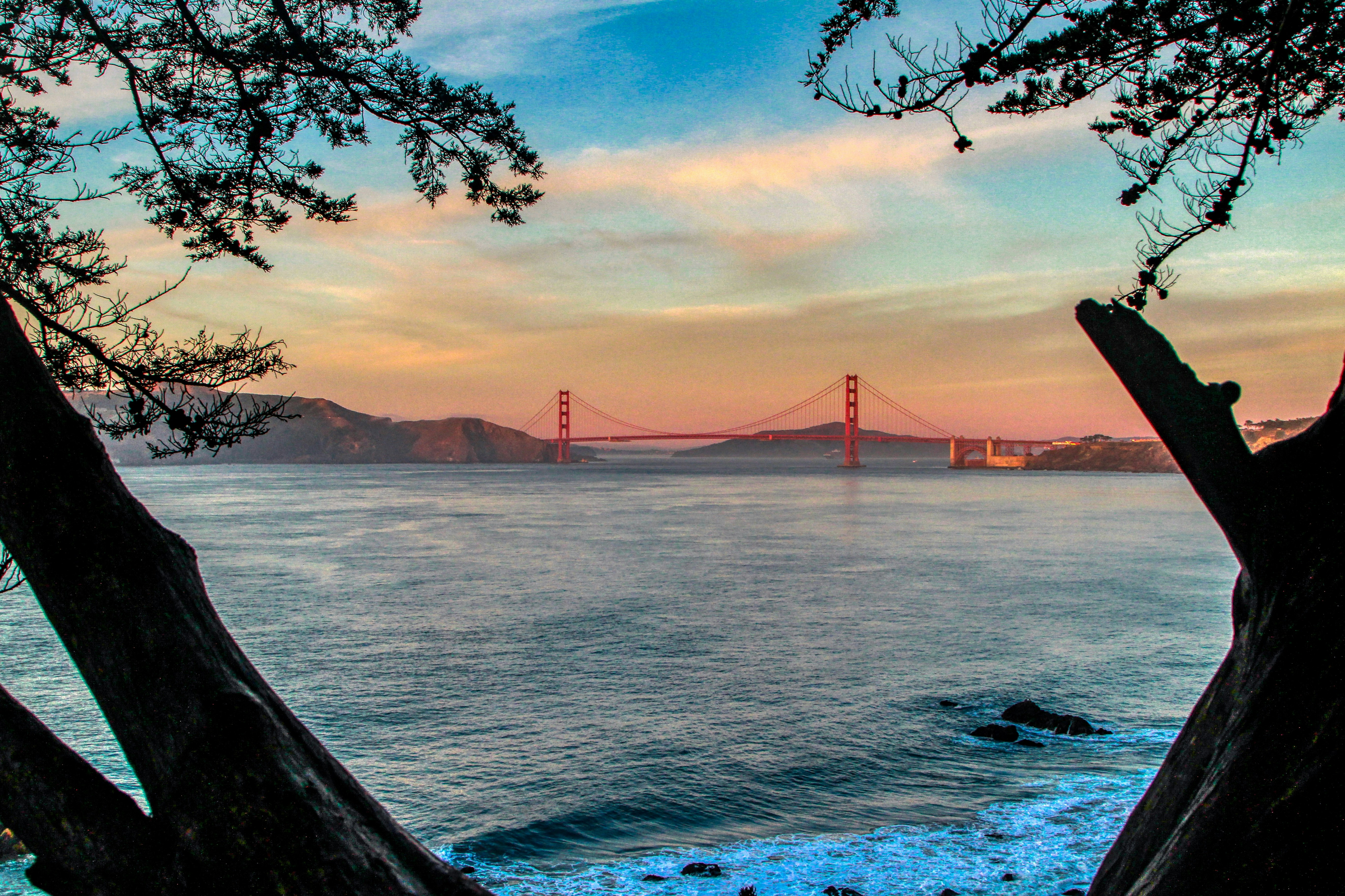 Sunset Over the Golden Gate: Framed by Coastal Branches