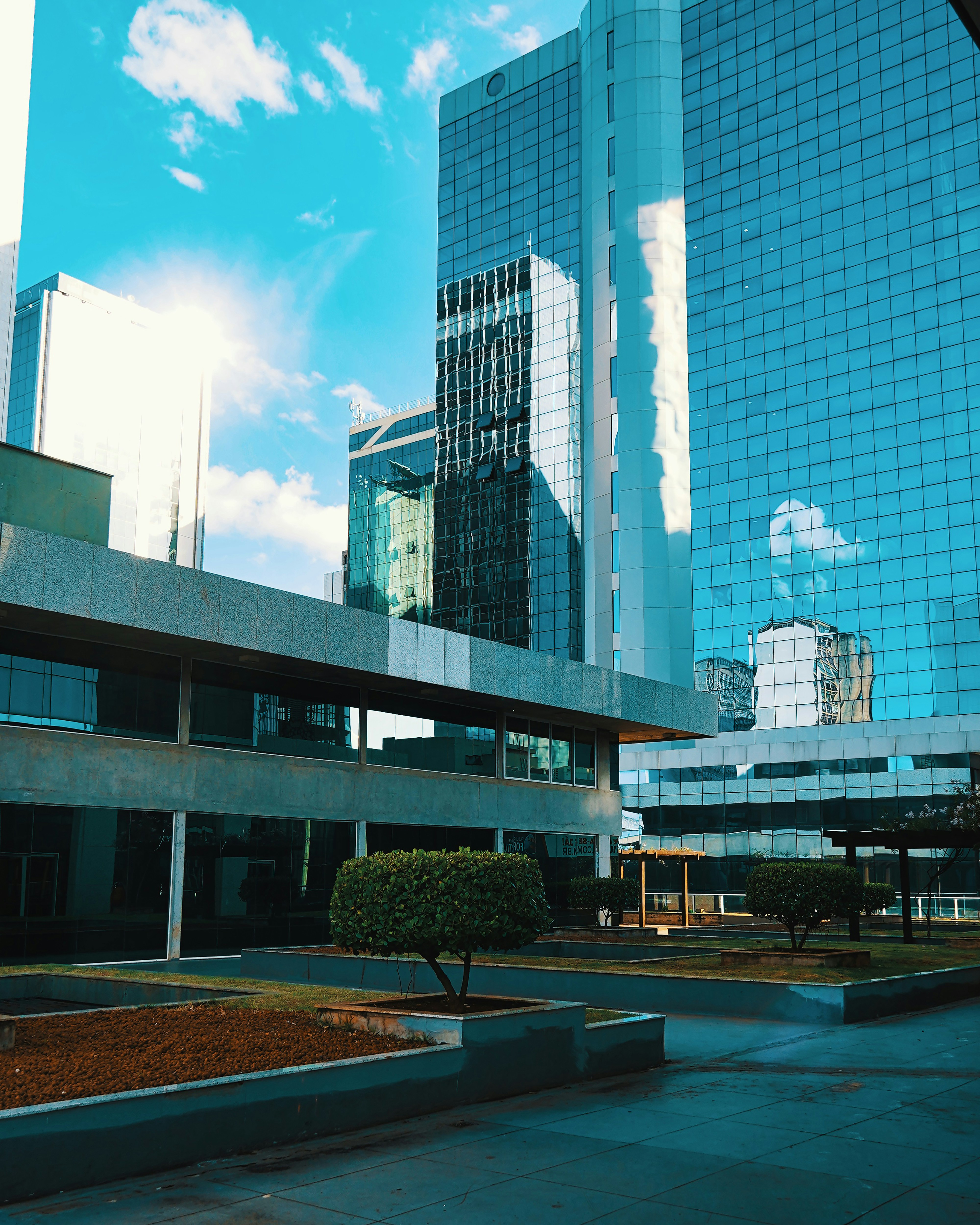 blue glass walled high rise building