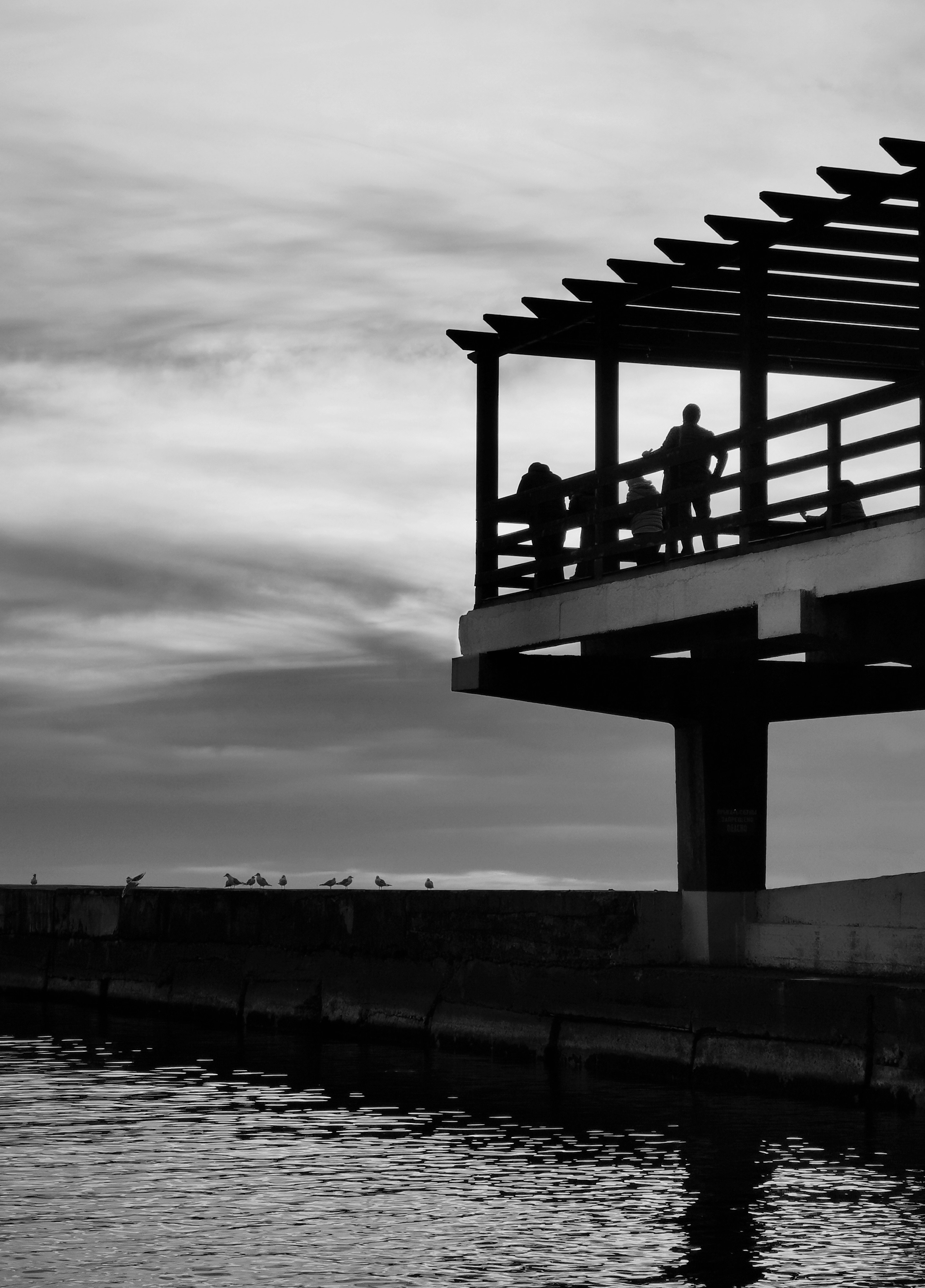 Silhouetted figures stand on a pier, observing the water as dusk settles in, with a cloudy sky above. The scene captures a moment of quiet contemplation.