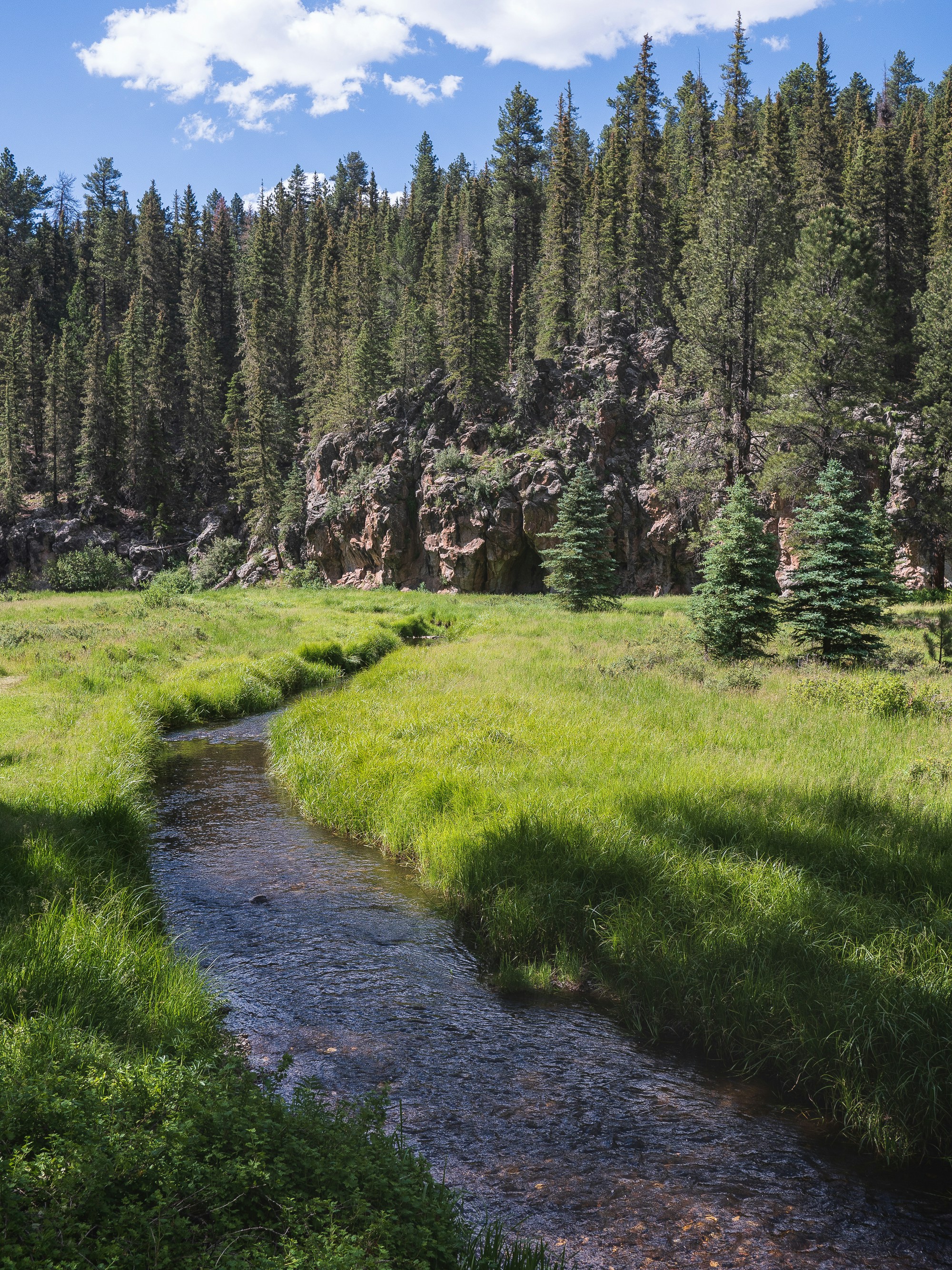 Jemez Mountains, New Mexico. 