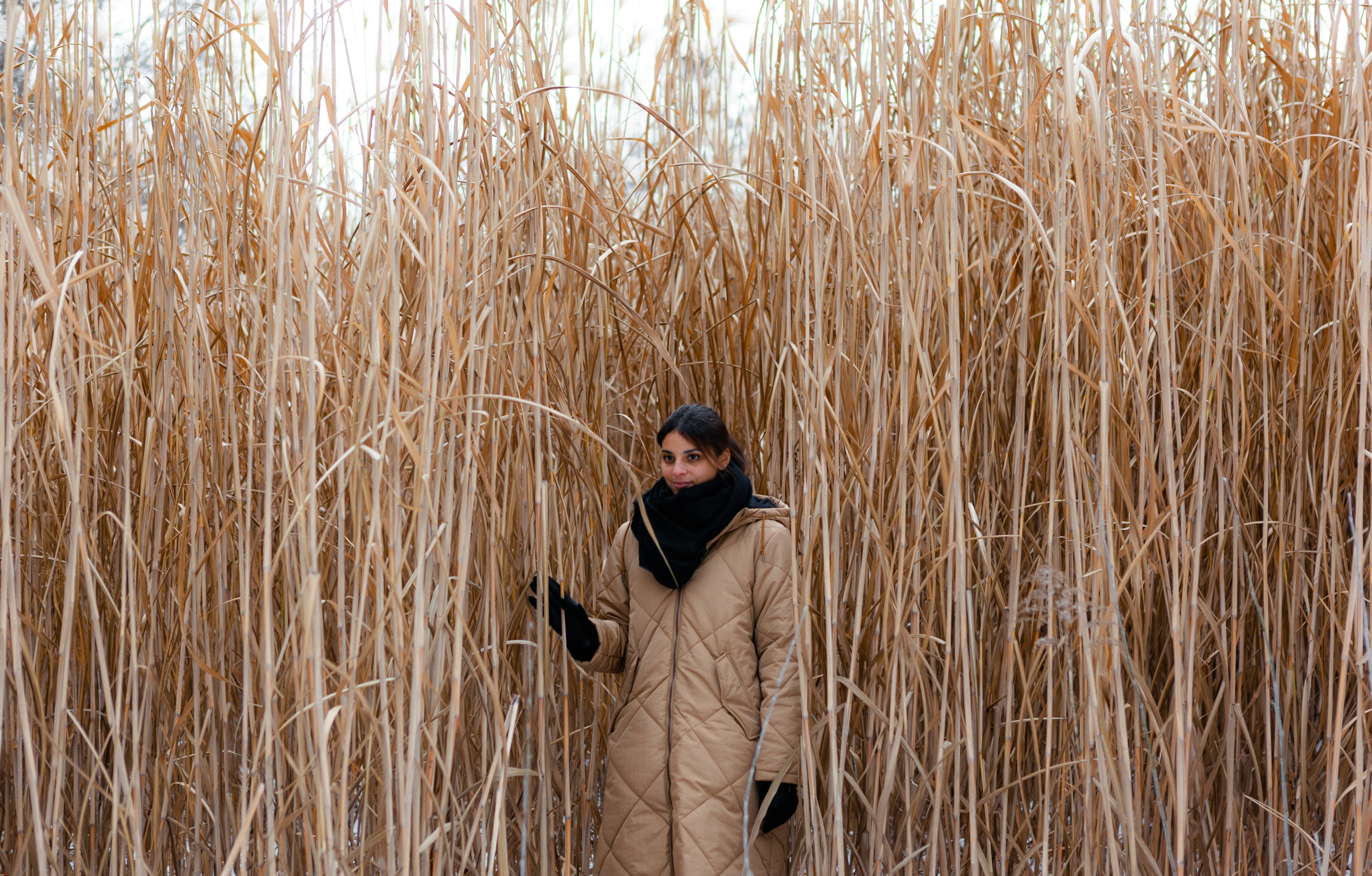 Cozy Frontier: Woman in Tan Parka Among Tall Golden Reeds