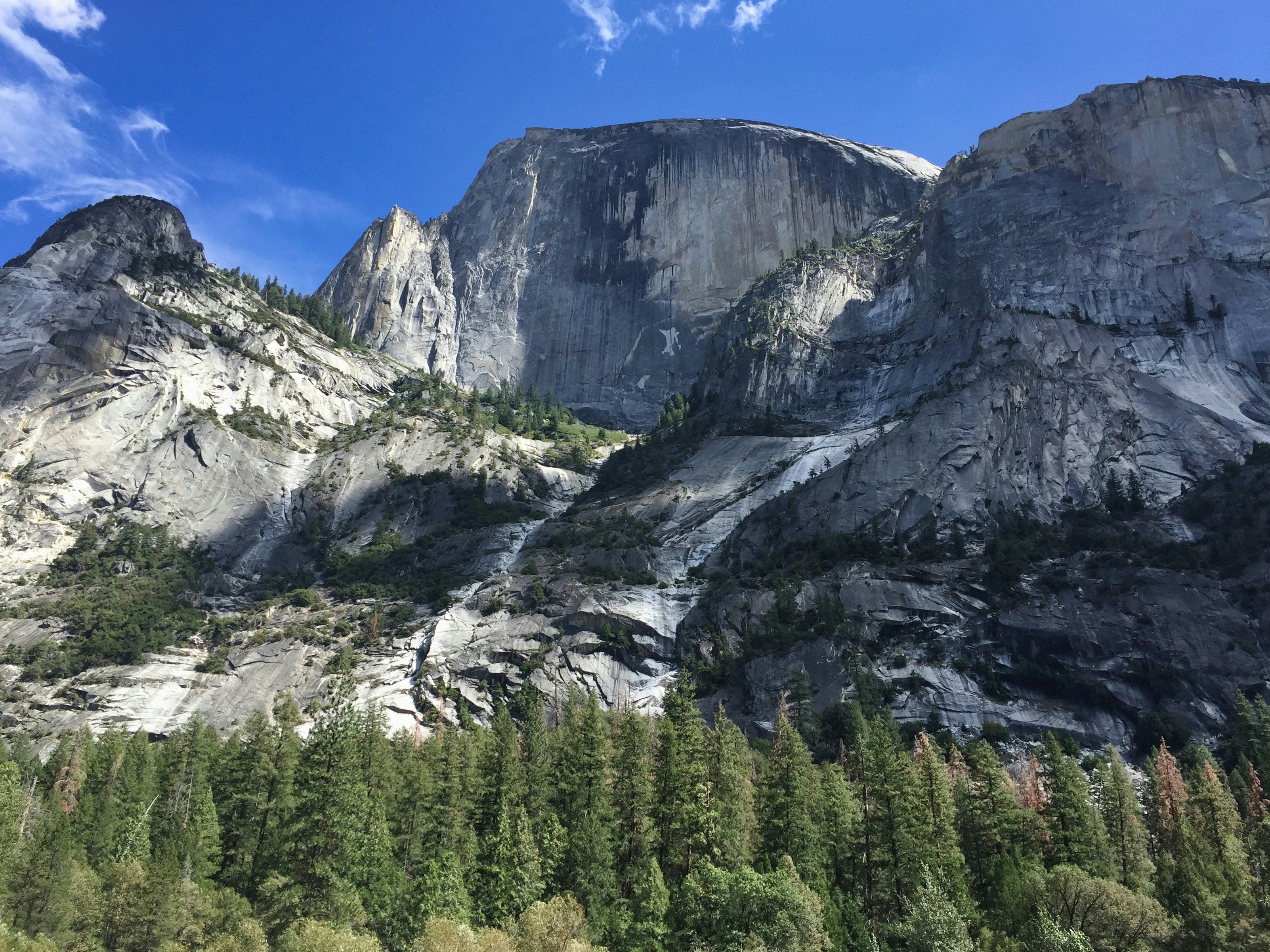 Granite Cathedral Over a Pine Forest