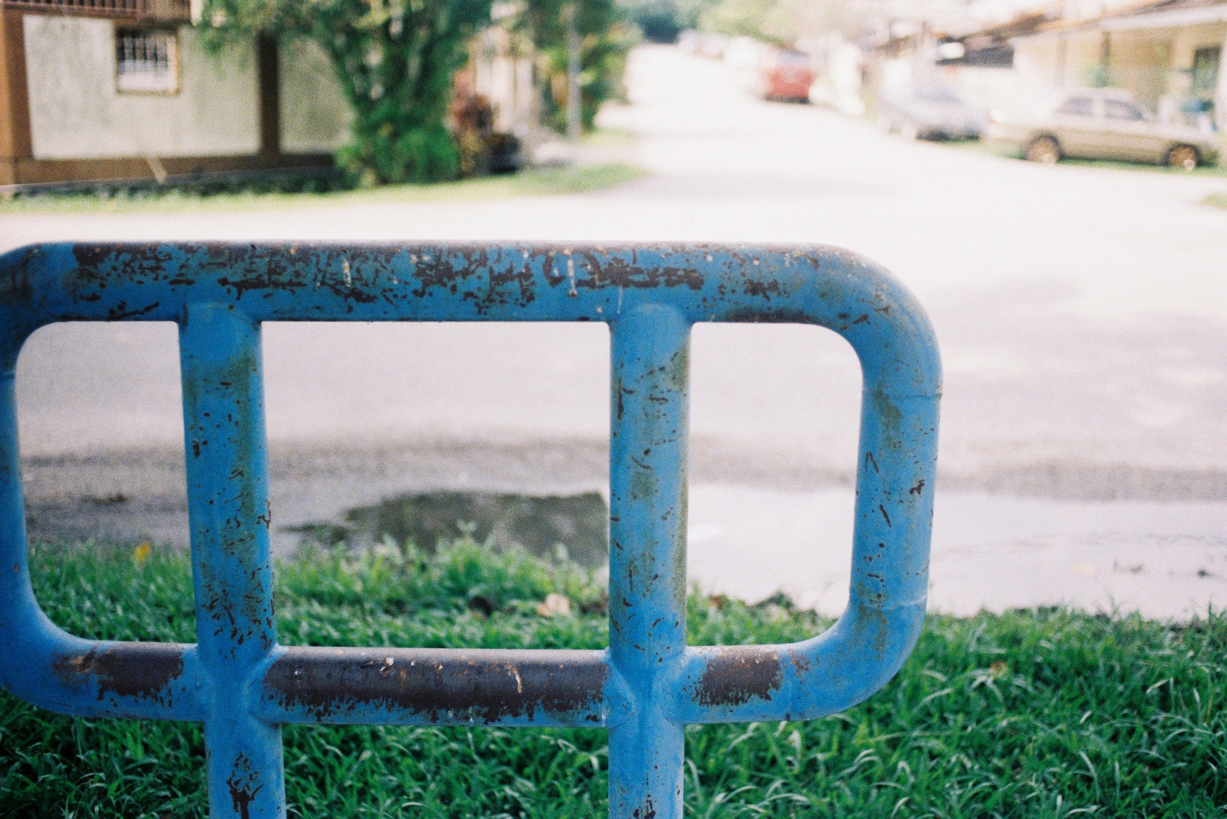 blue metal fence on green grass field during daytime