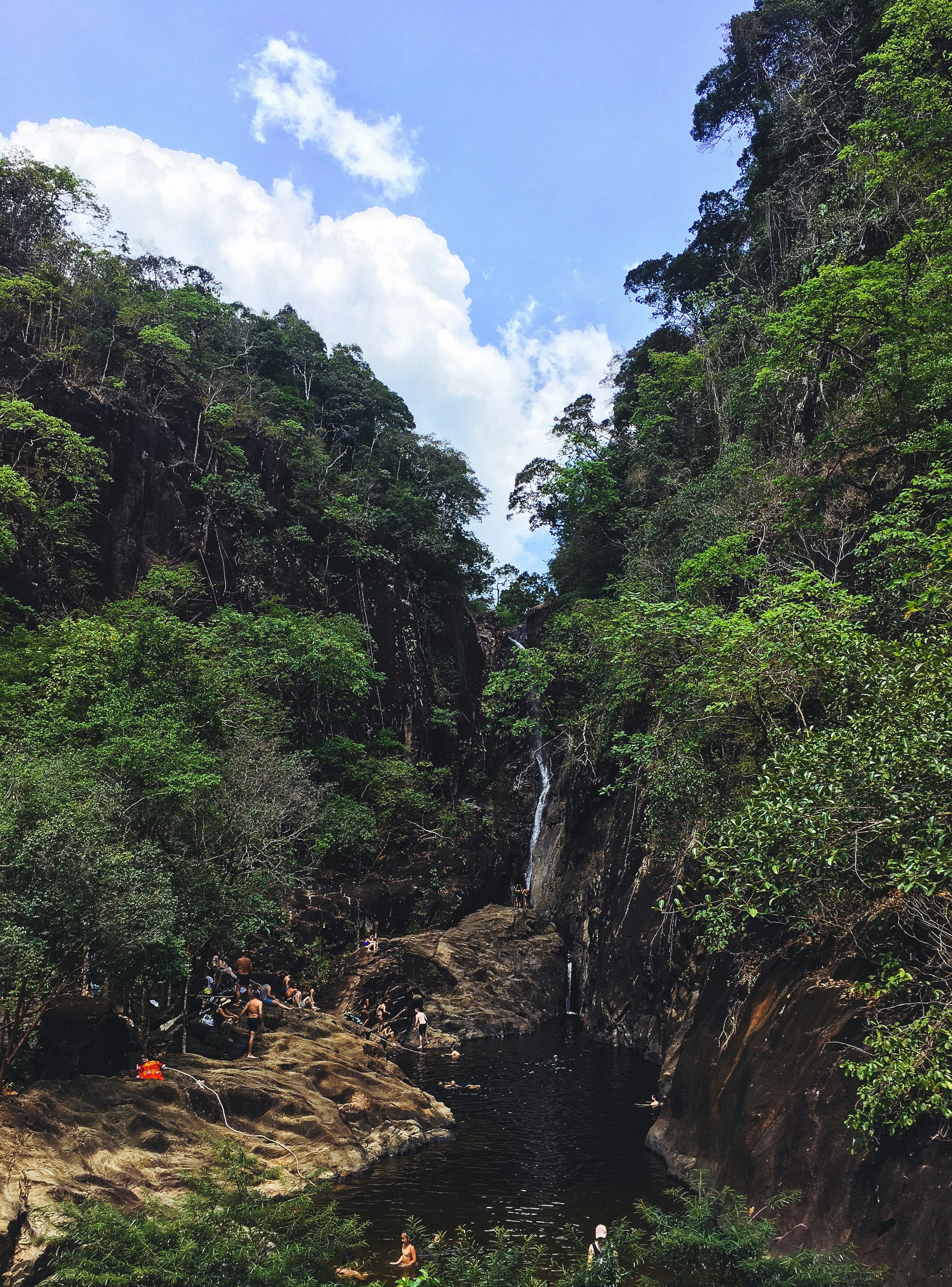 Waterfall Oasis: Forest Cliff Beside the Quiet Pool