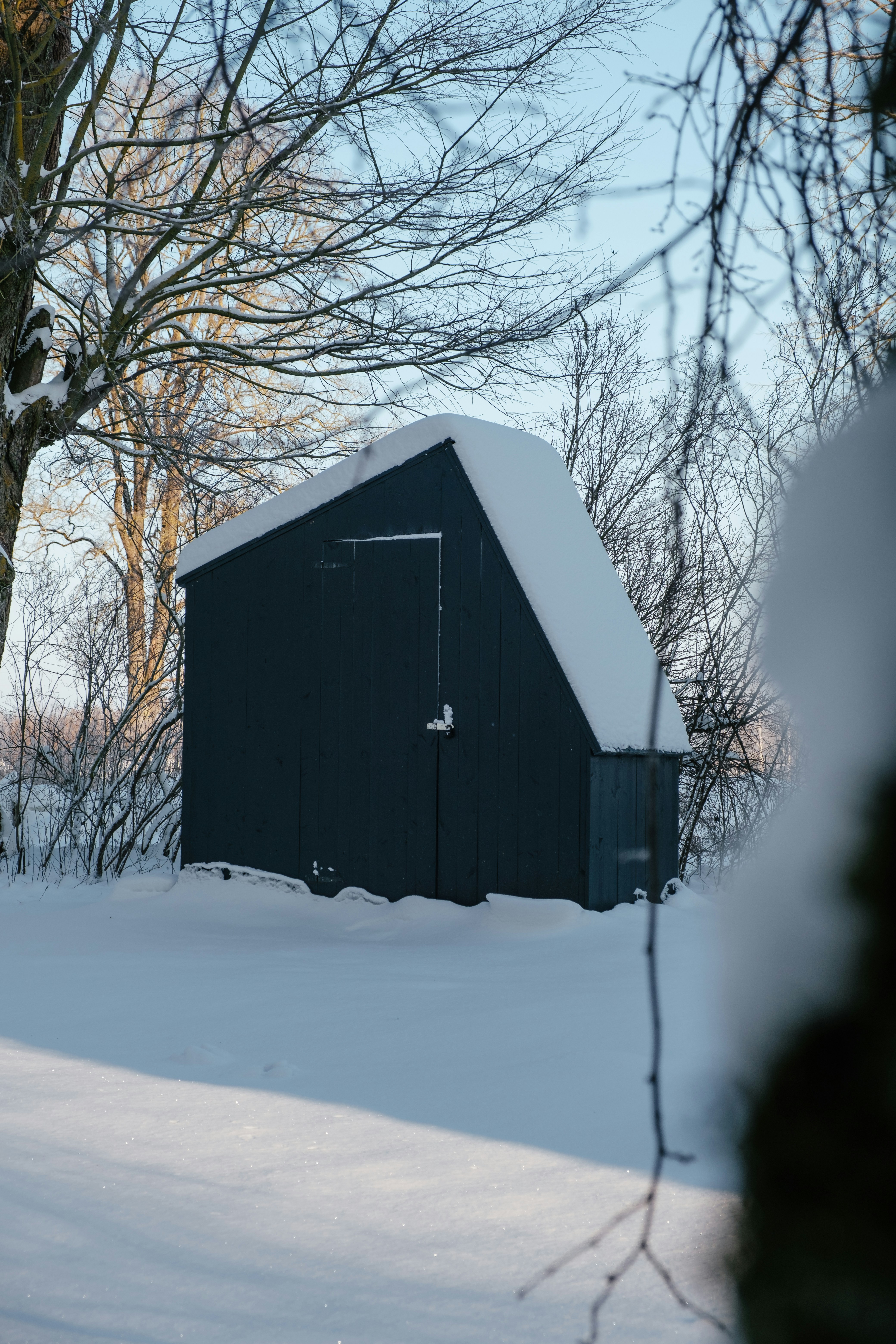 black wooden house near bare trees during daytime