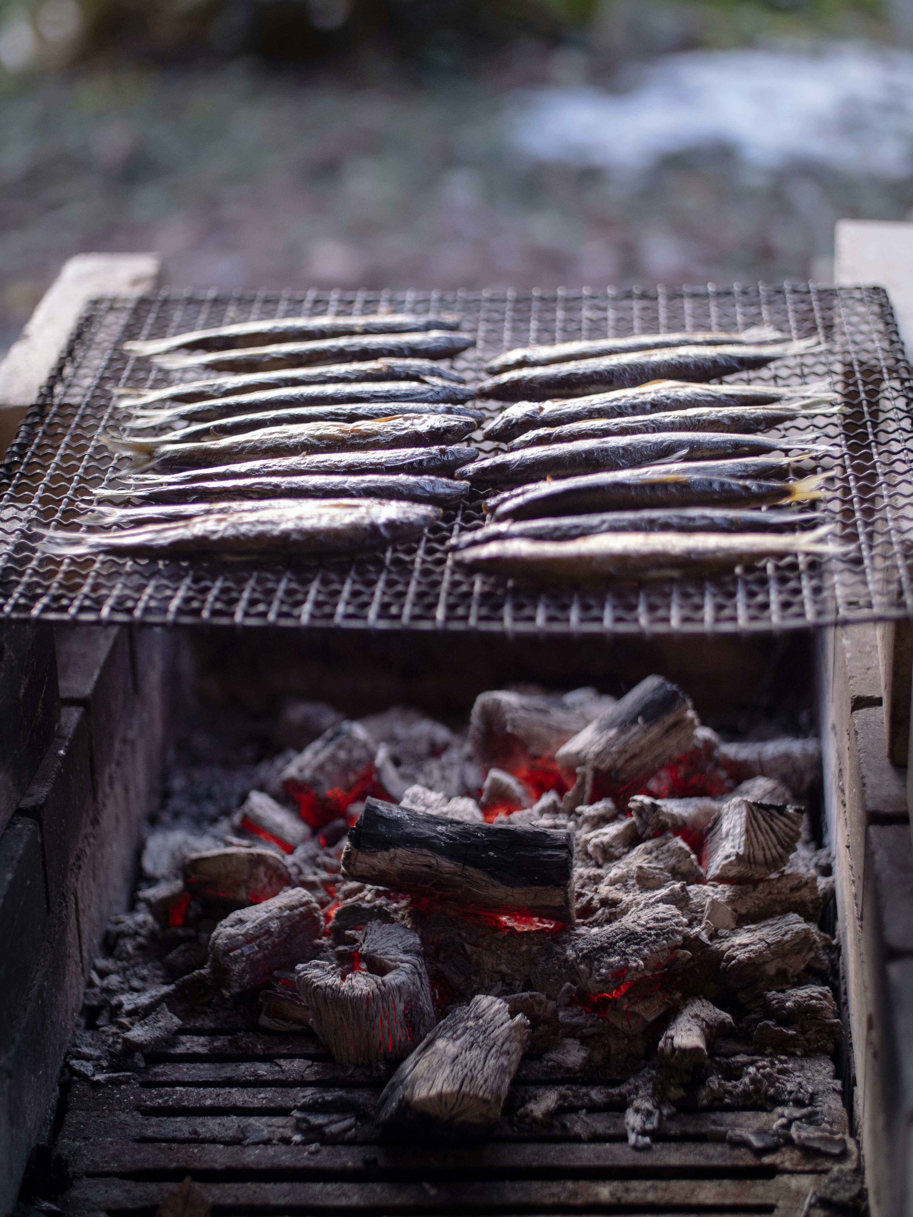 Fresh fish grilling on a wire rack over glowing embers, showcasing the art of outdoor cooking.