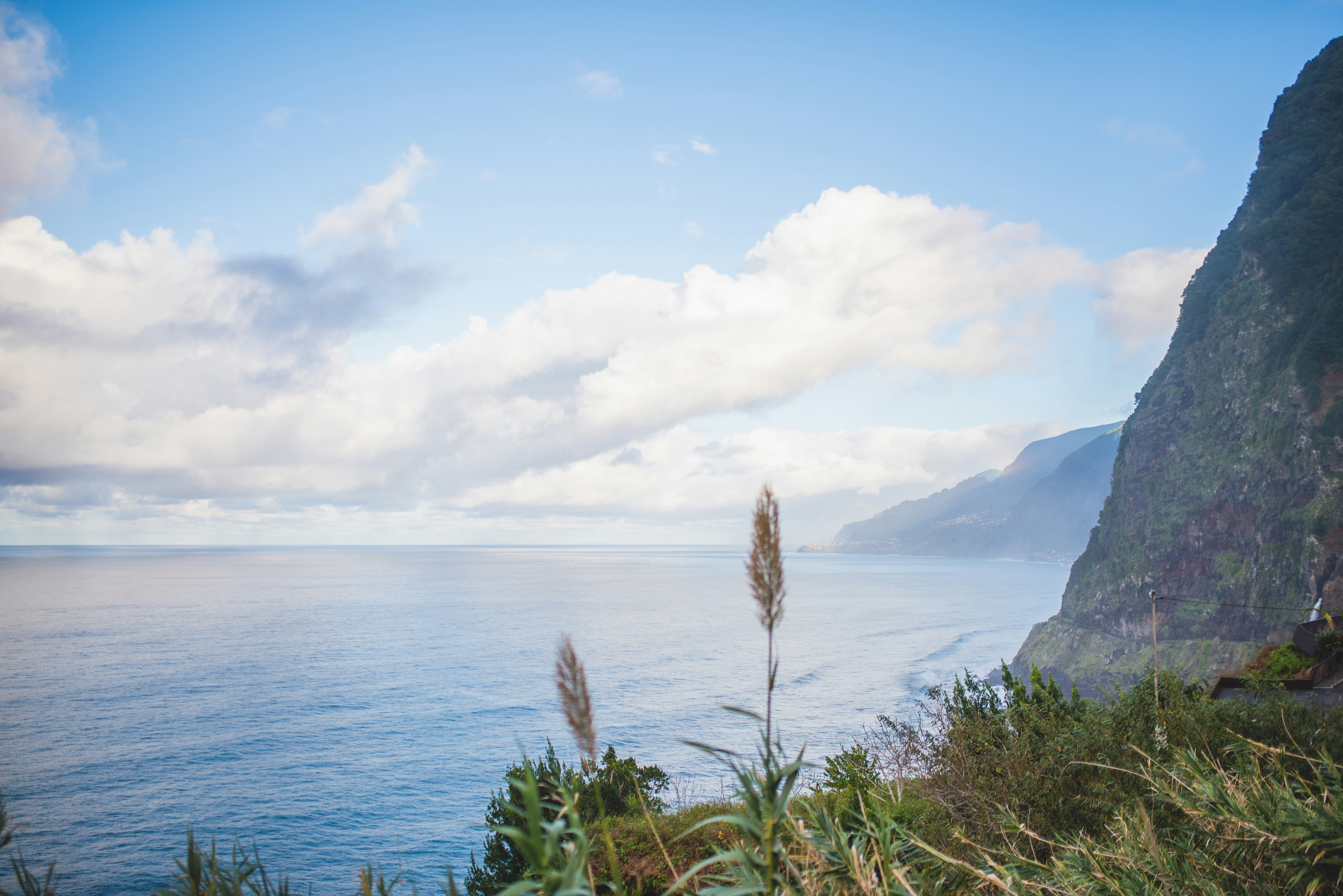 Green grass near body of water during daytime photo – Free Madeira ...